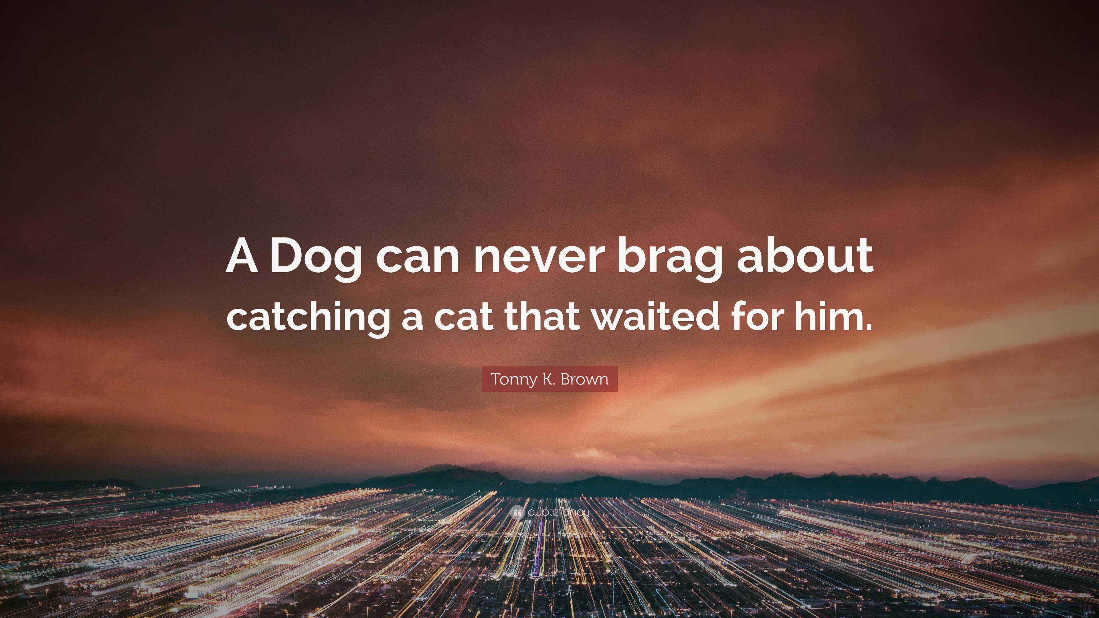 Tonny K. Brown Quote: “A Dog can never brag about catching a cat that ...
