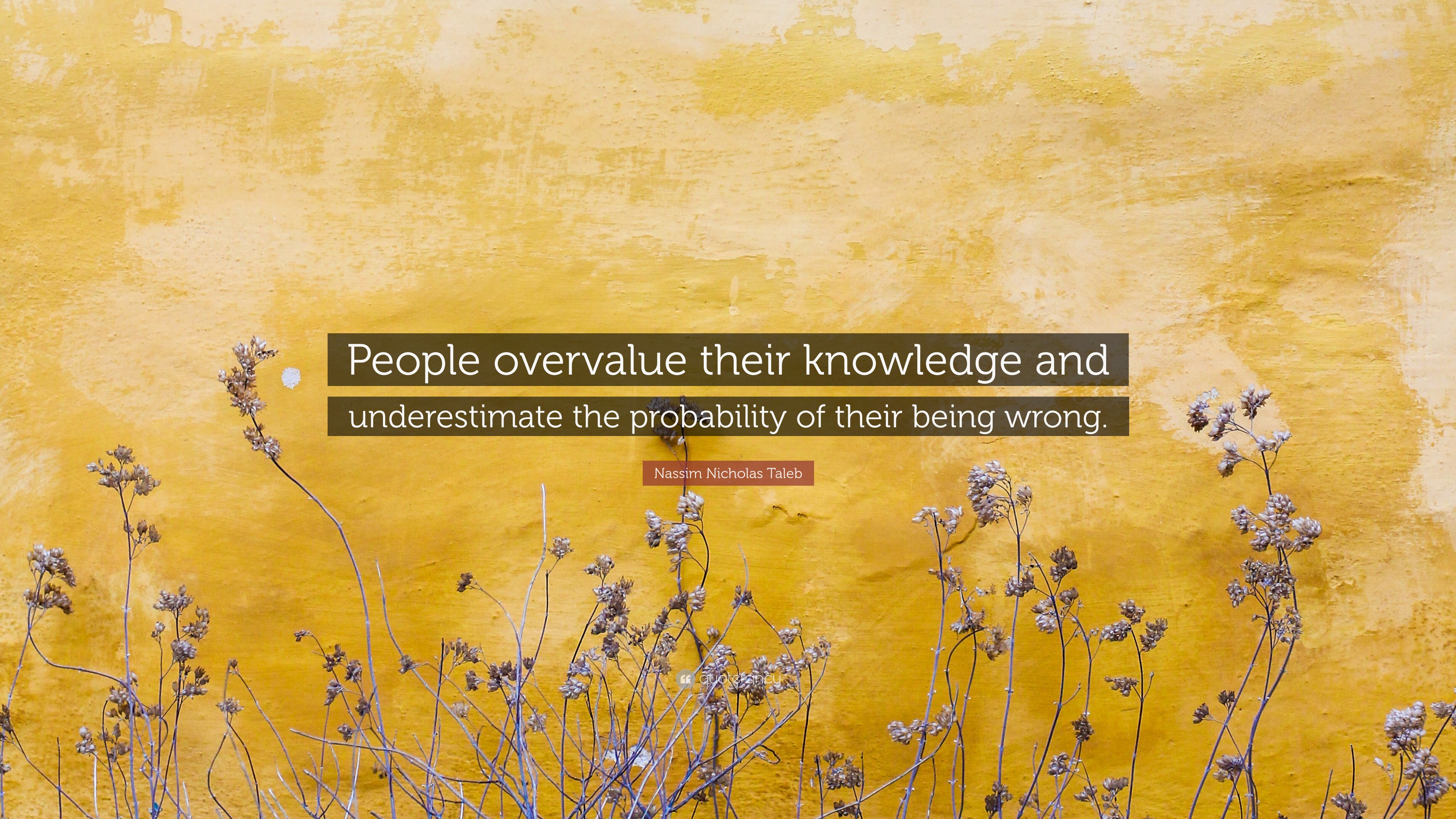 Nassim Nicholas Taleb Quote: “People overvalue their knowledge and ...