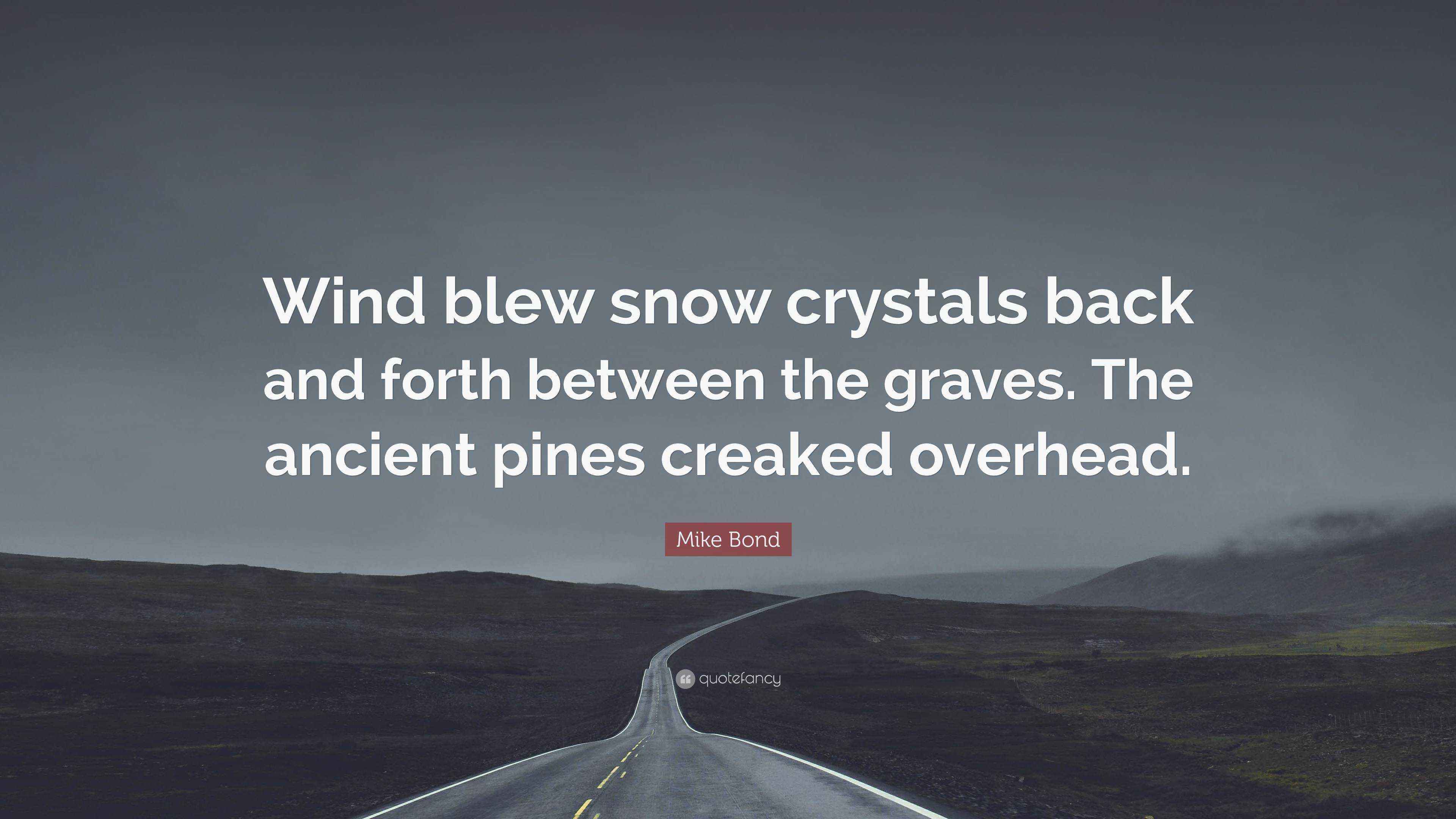 Mike Bond Quote: “Wind blew snow crystals back and forth between the ...