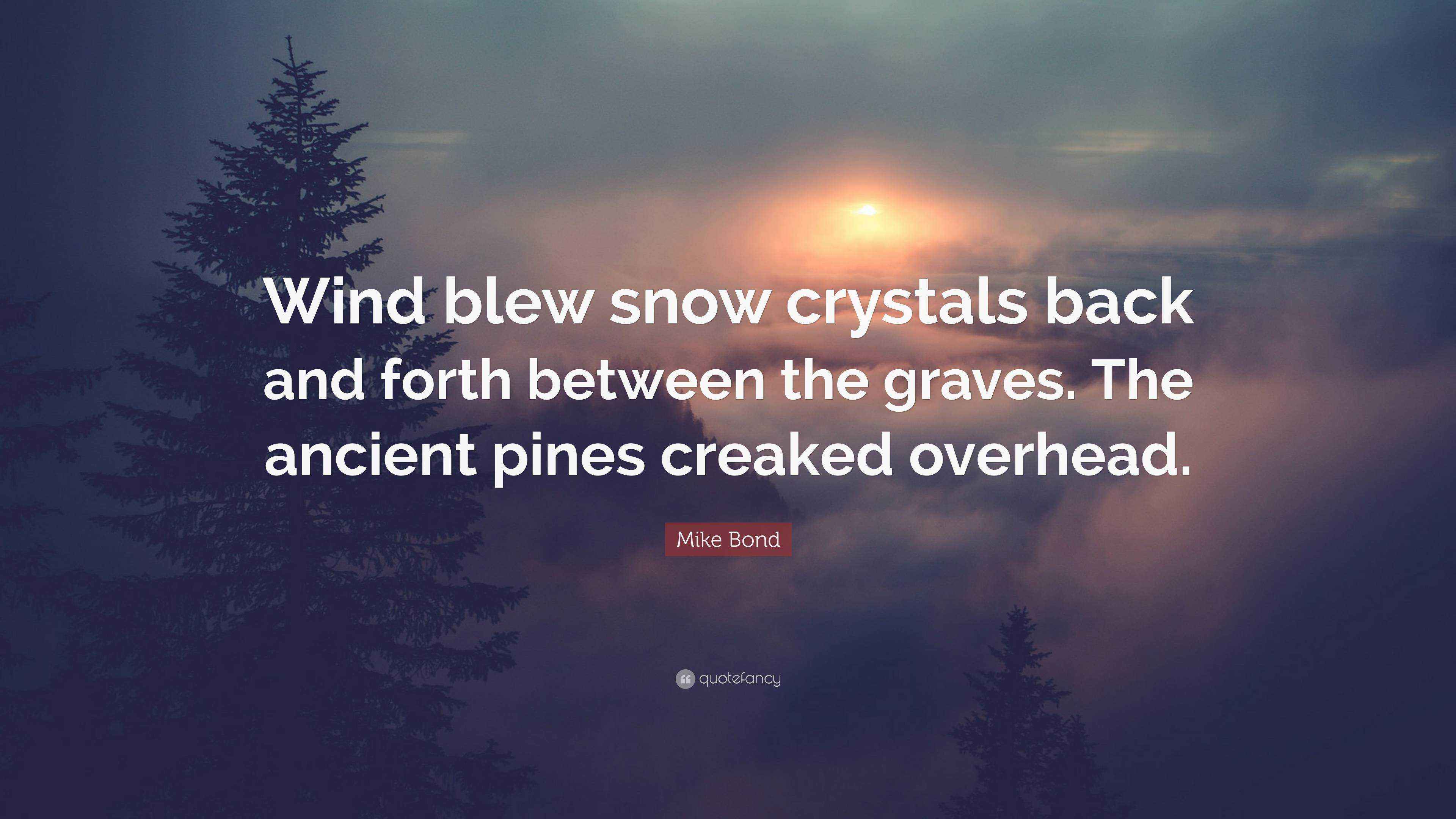 Mike Bond Quote: “Wind blew snow crystals back and forth between the ...
