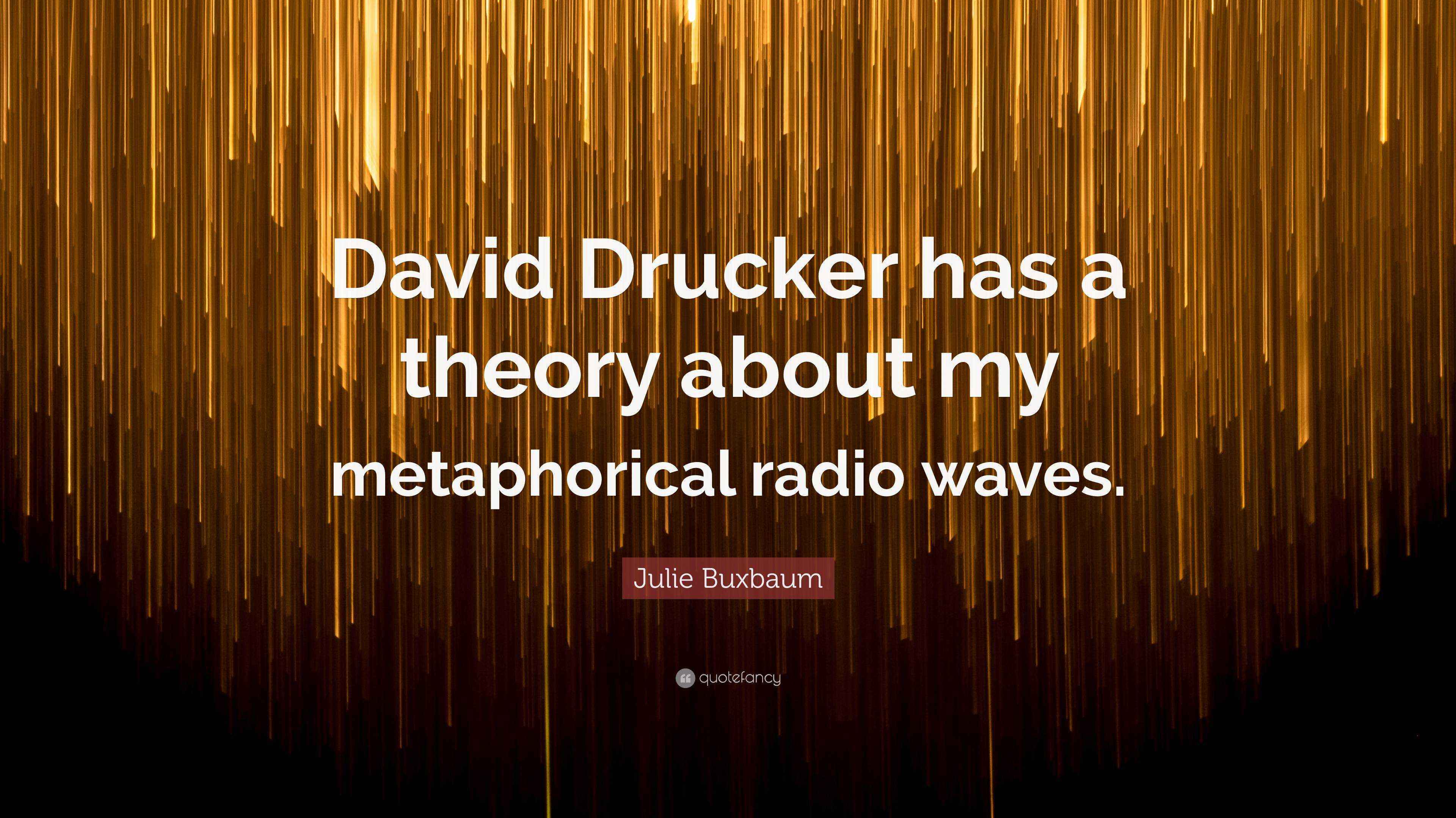 Julie Buxbaum Quote: “David Drucker has a theory about my metaphorical ...