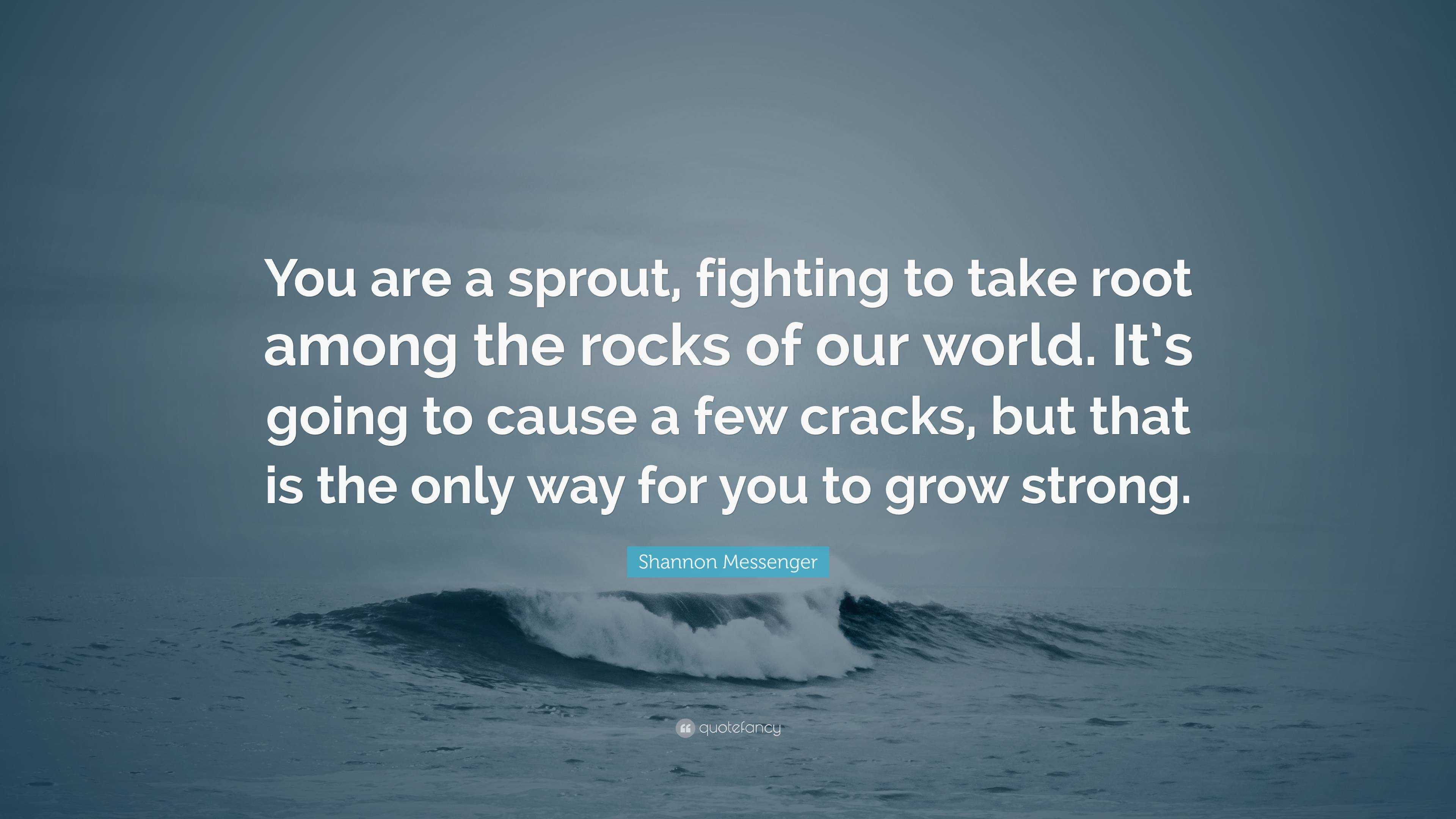 Shannon Messenger Quote: “You are a sprout, fighting to take root among ...