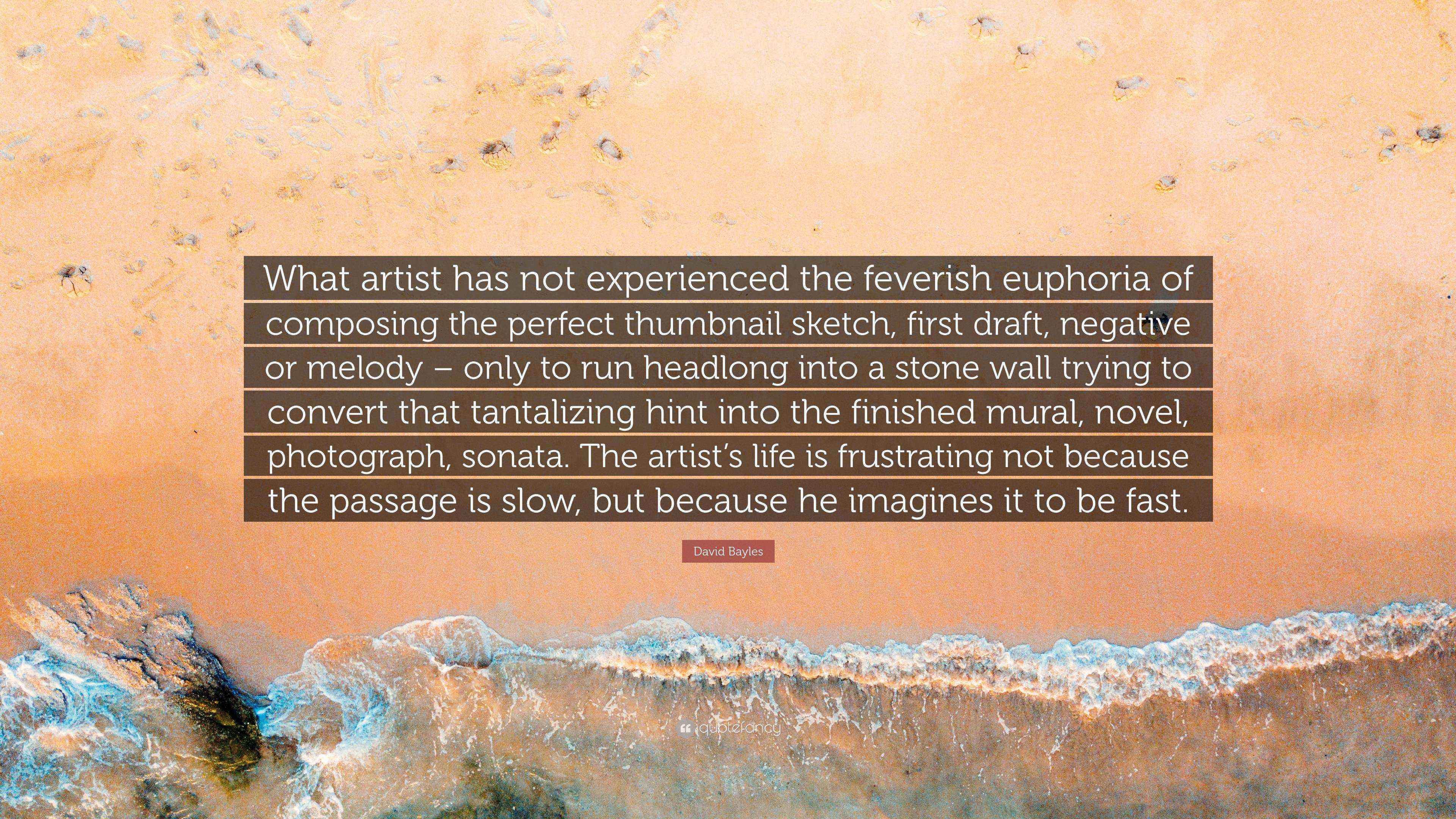 David Bayles Quote: “What artist has not experienced the feverish ...