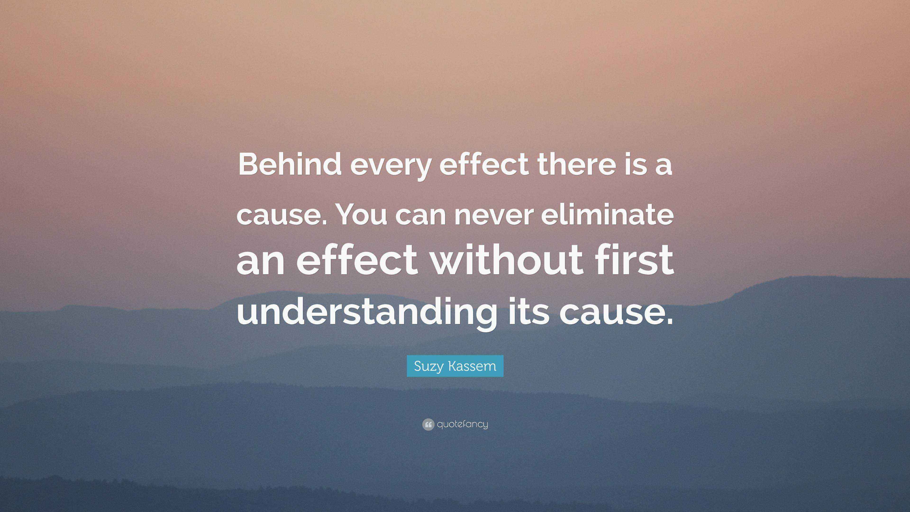 Suzy Kassem Quote: “Behind every effect there is a cause. You can never ...