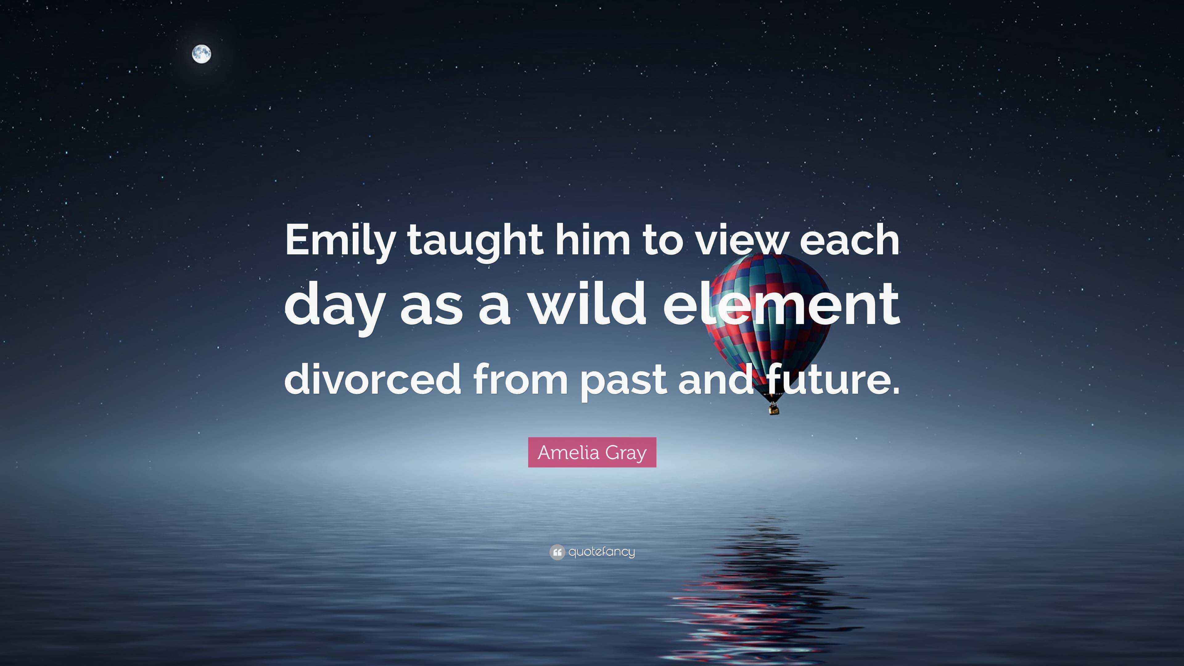 Amelia Gray Quote: “Emily taught him to view each day as a wild element ...