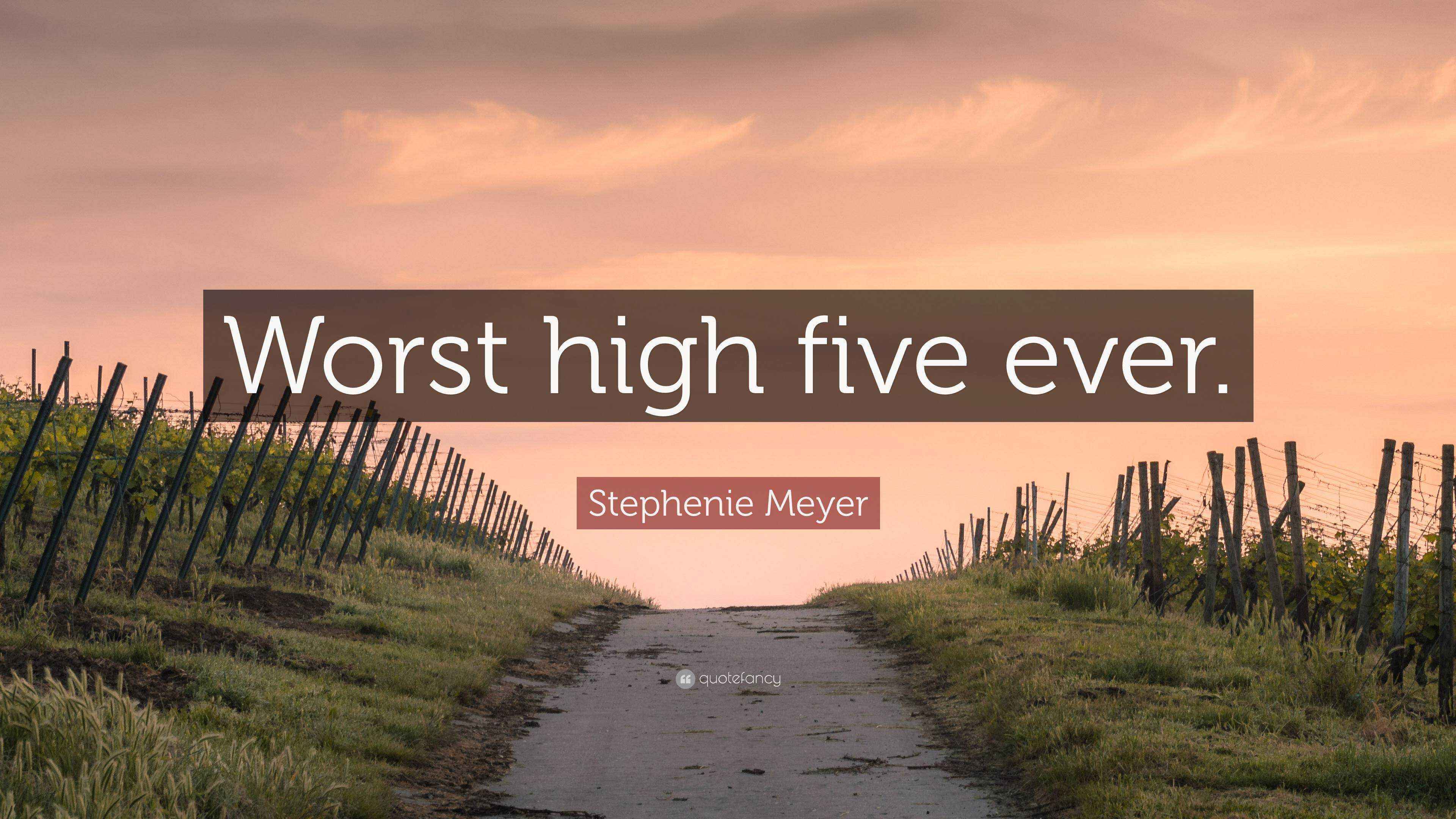 Stephenie Meyer Quote: “Worst high five ever.”