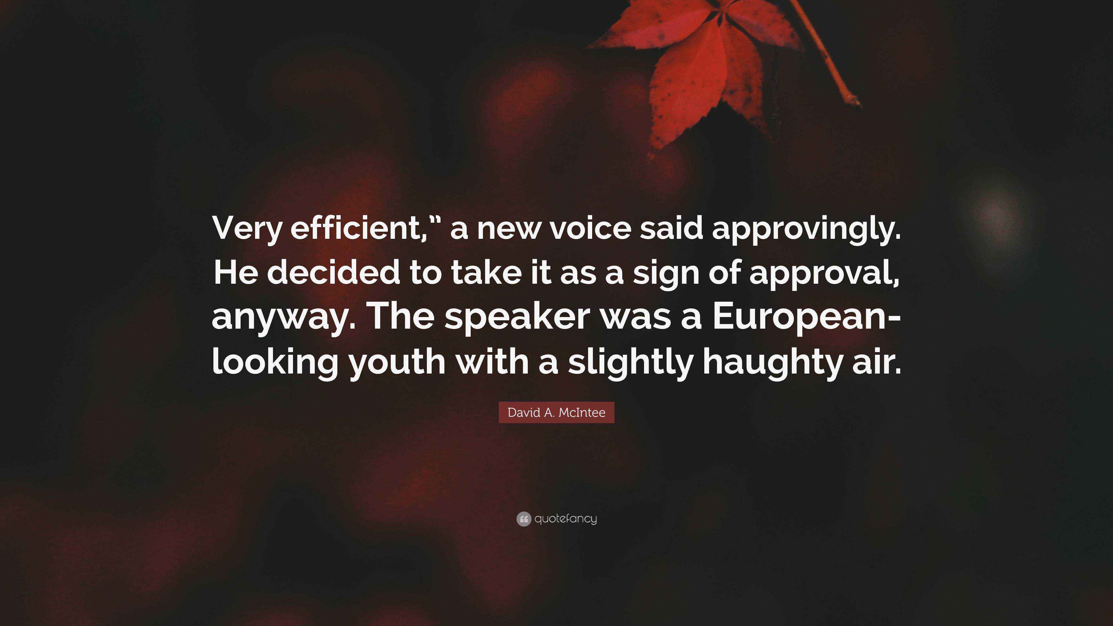 David A. McIntee Quote: “Very efficient,” a new voice said approvingly ...