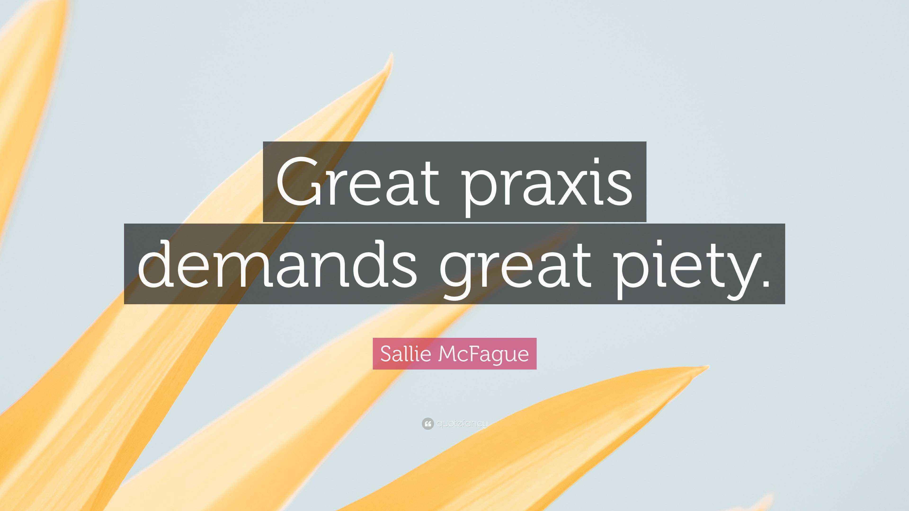 Sallie McFague Quote: “Great praxis demands great piety.”