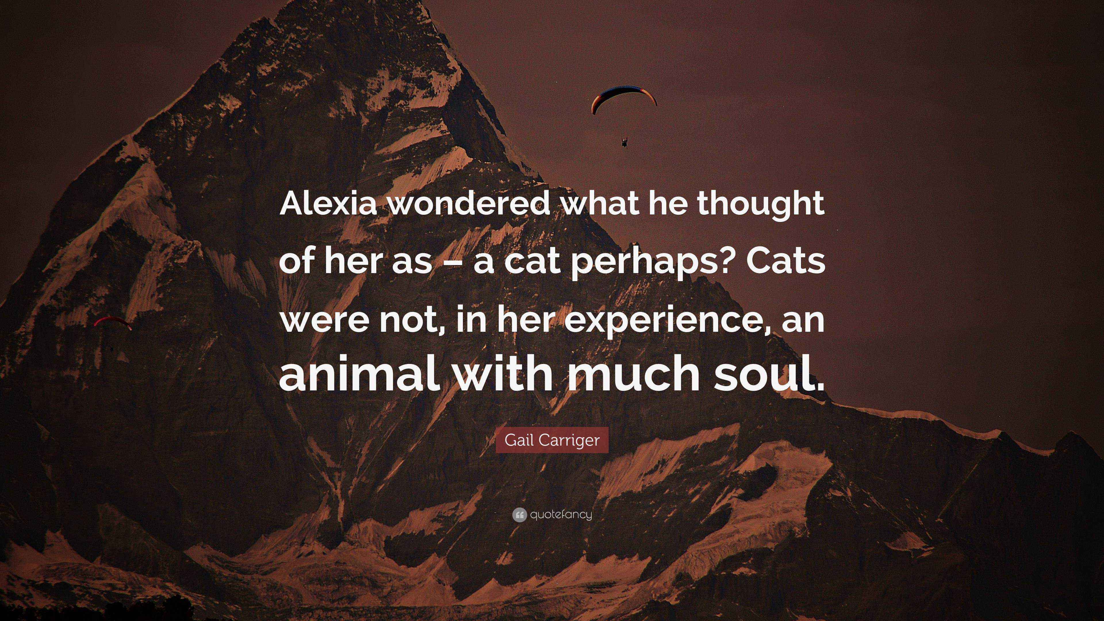 Gail Carriger Quote: “Alexia wondered what he thought of her as – a cat ...