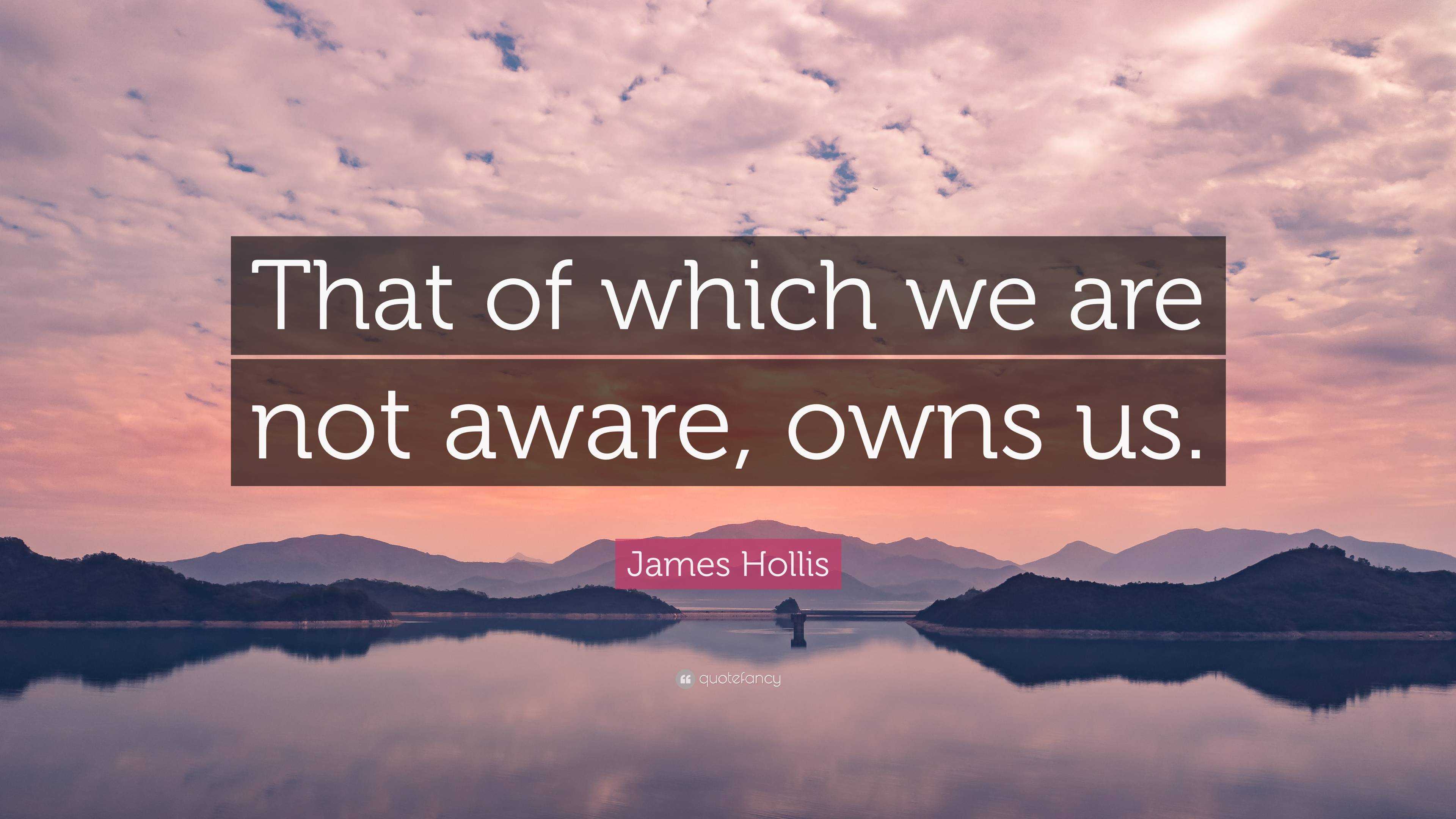 James Hollis Quote: “That of which we are not aware, owns us.”