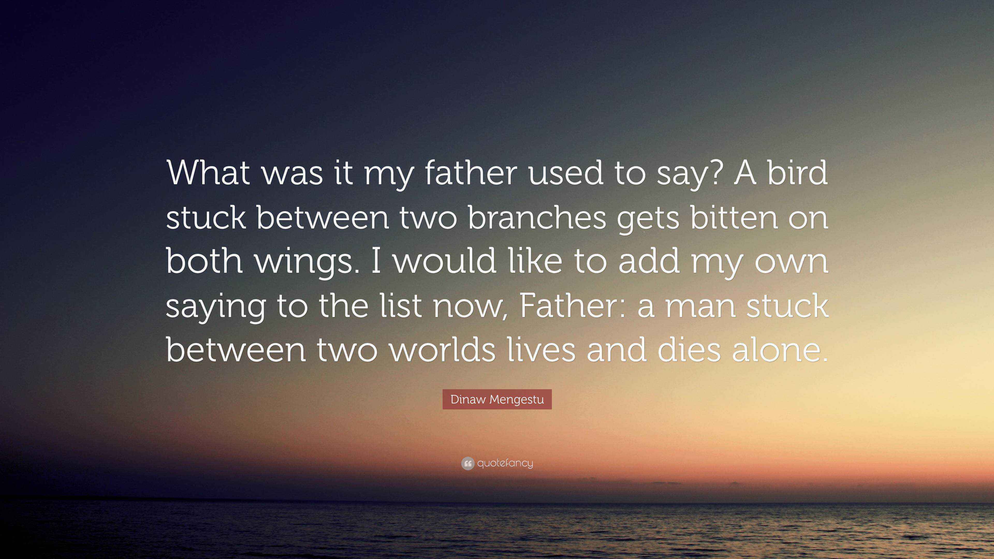 Dinaw Mengestu Quote: “What was it my father used to say? A bird stuck ...