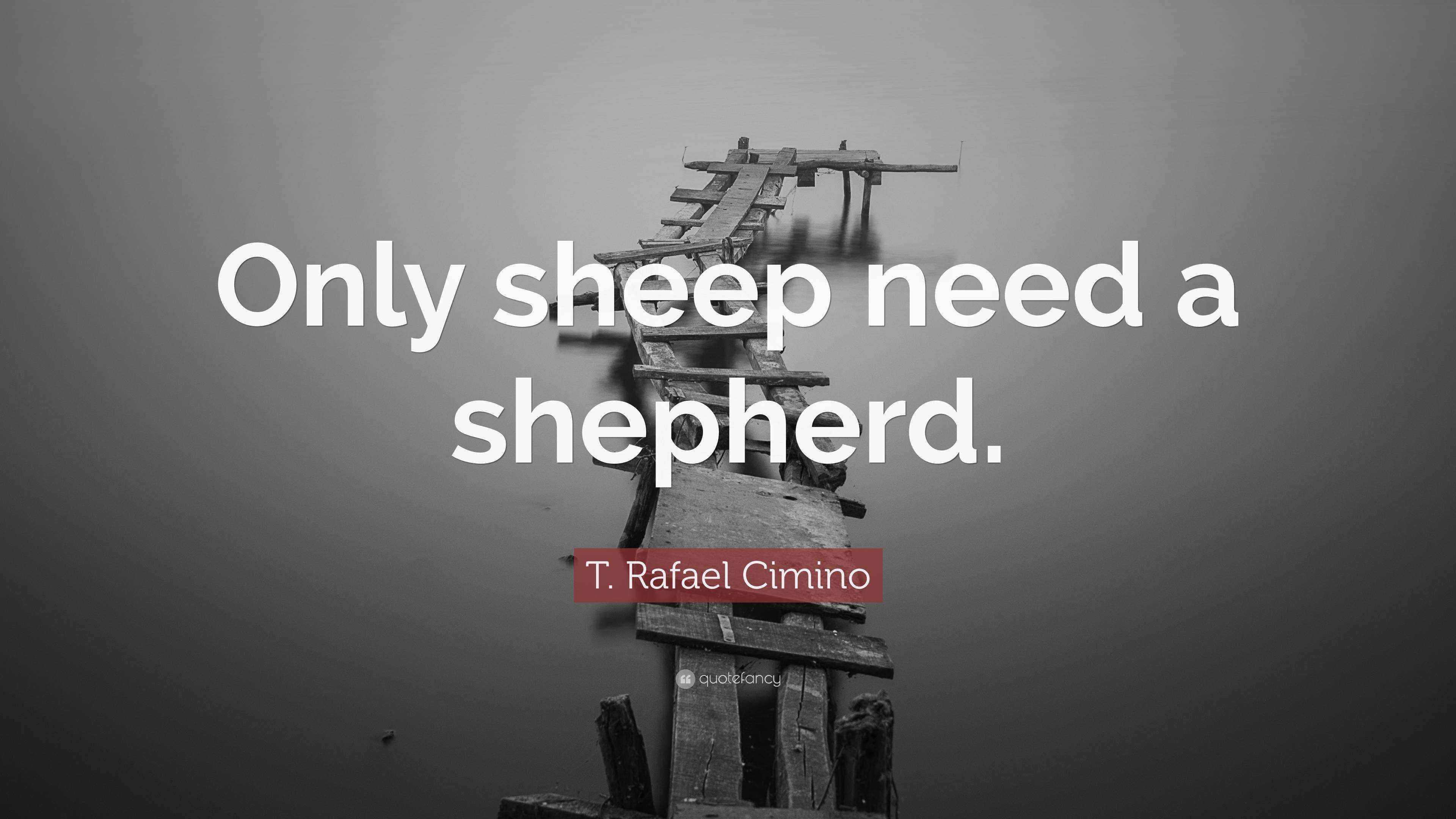 T. Rafael Cimino Quote: “Only sheep need a shepherd.”