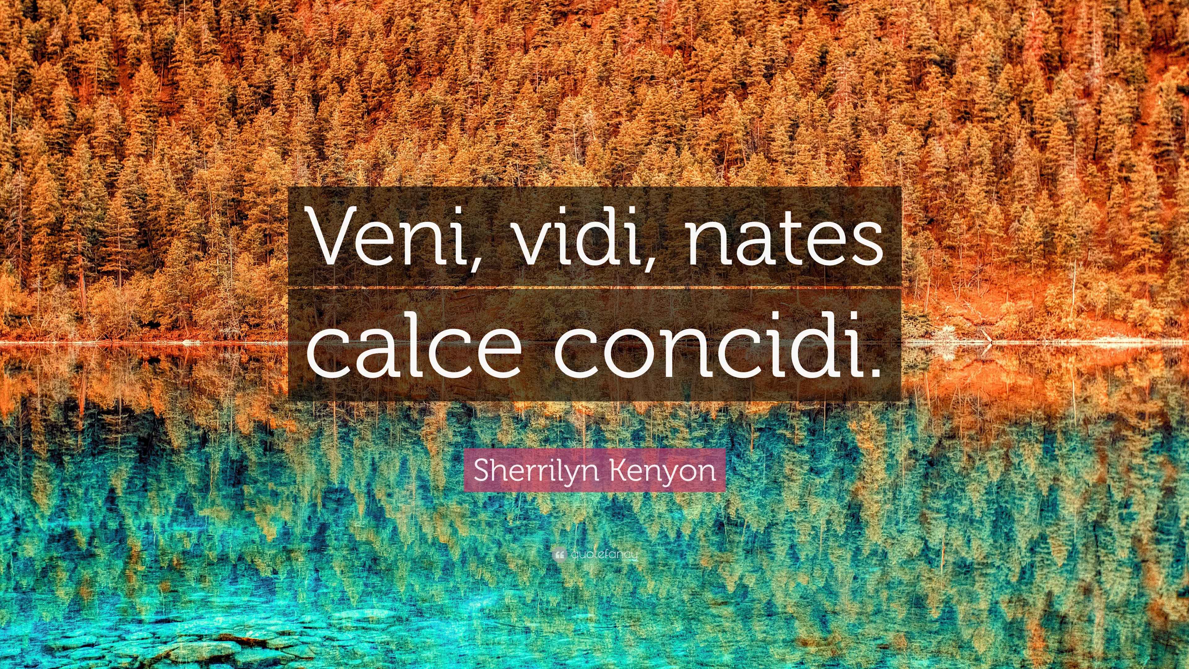 Sherrilyn Kenyon Quote: “Veni, vidi, nates calce concidi.”