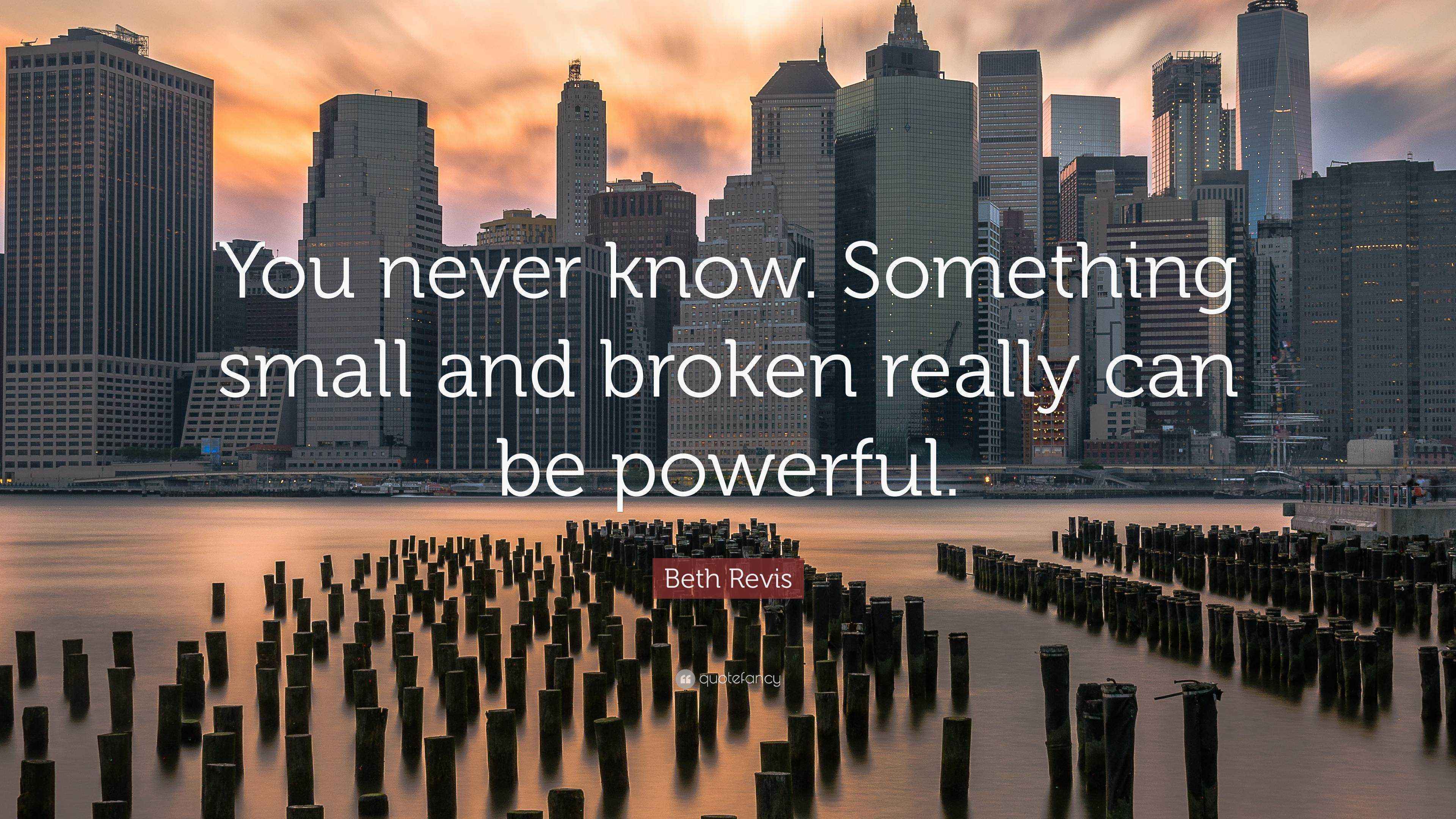 Beth Revis Quote: “You never know. Something small and broken really ...