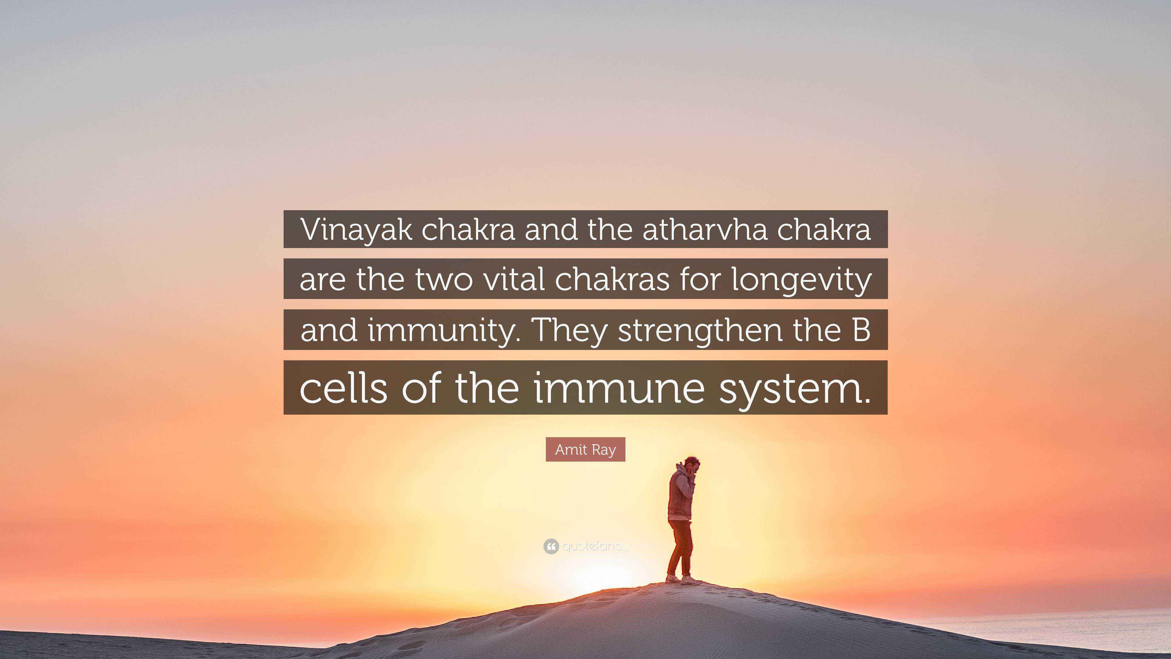 Amit Ray Quote: “Vinayak chakra and the atharvha chakra are the two ...
