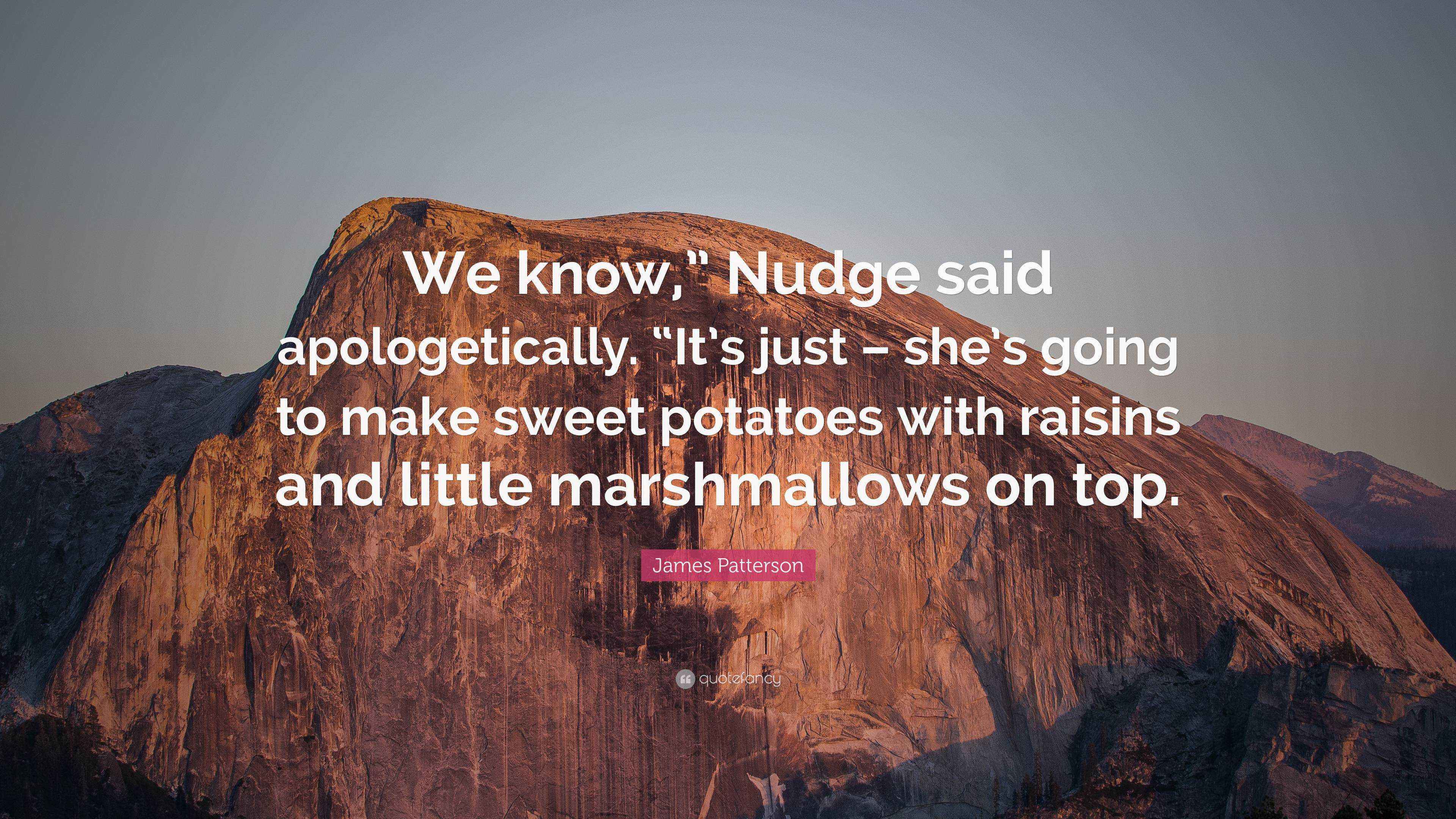 James Patterson Quote: “We know,” Nudge said apologetically. “It’s just ...