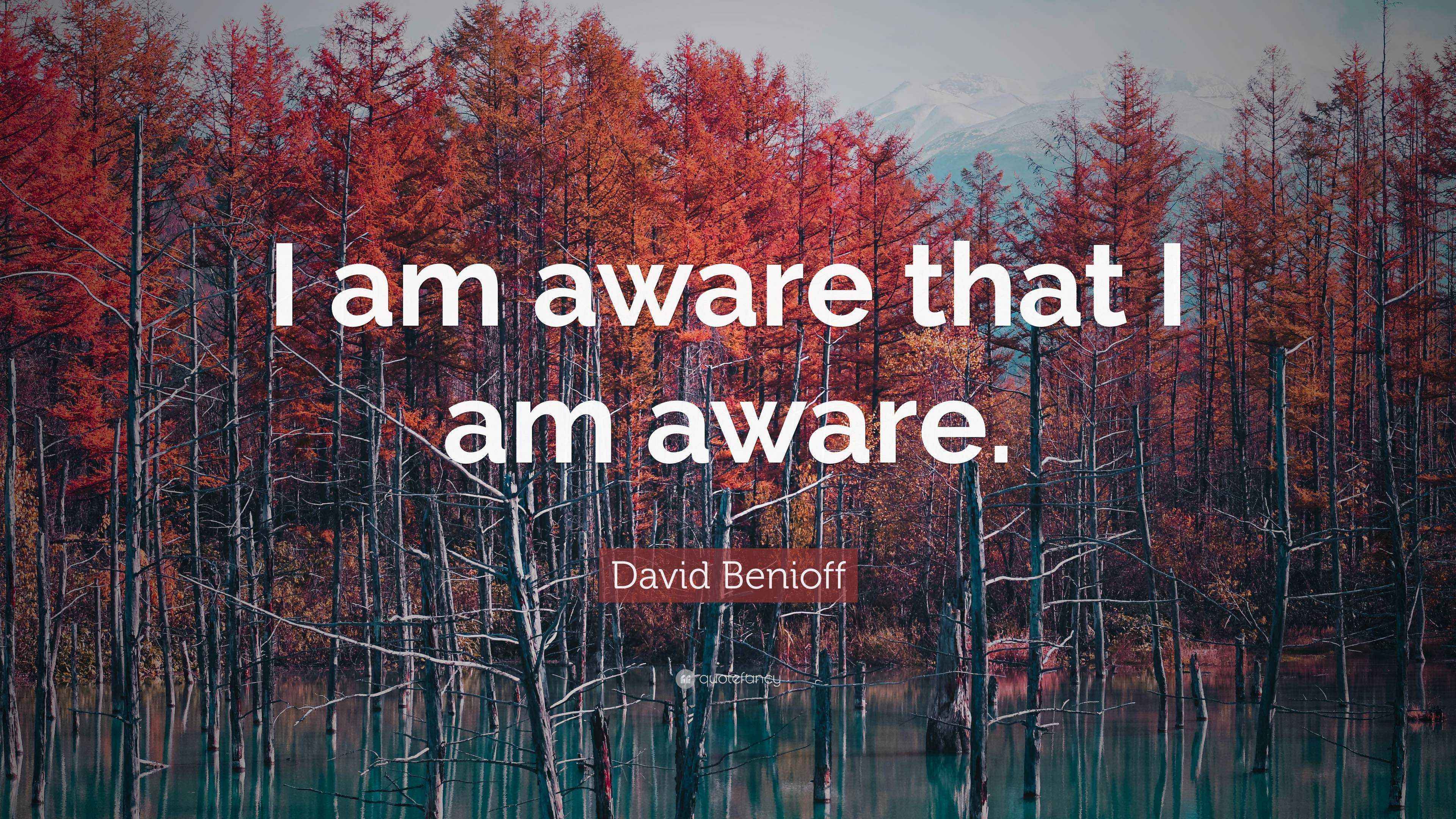 David Benioff Quote: “I am aware that I am aware.”