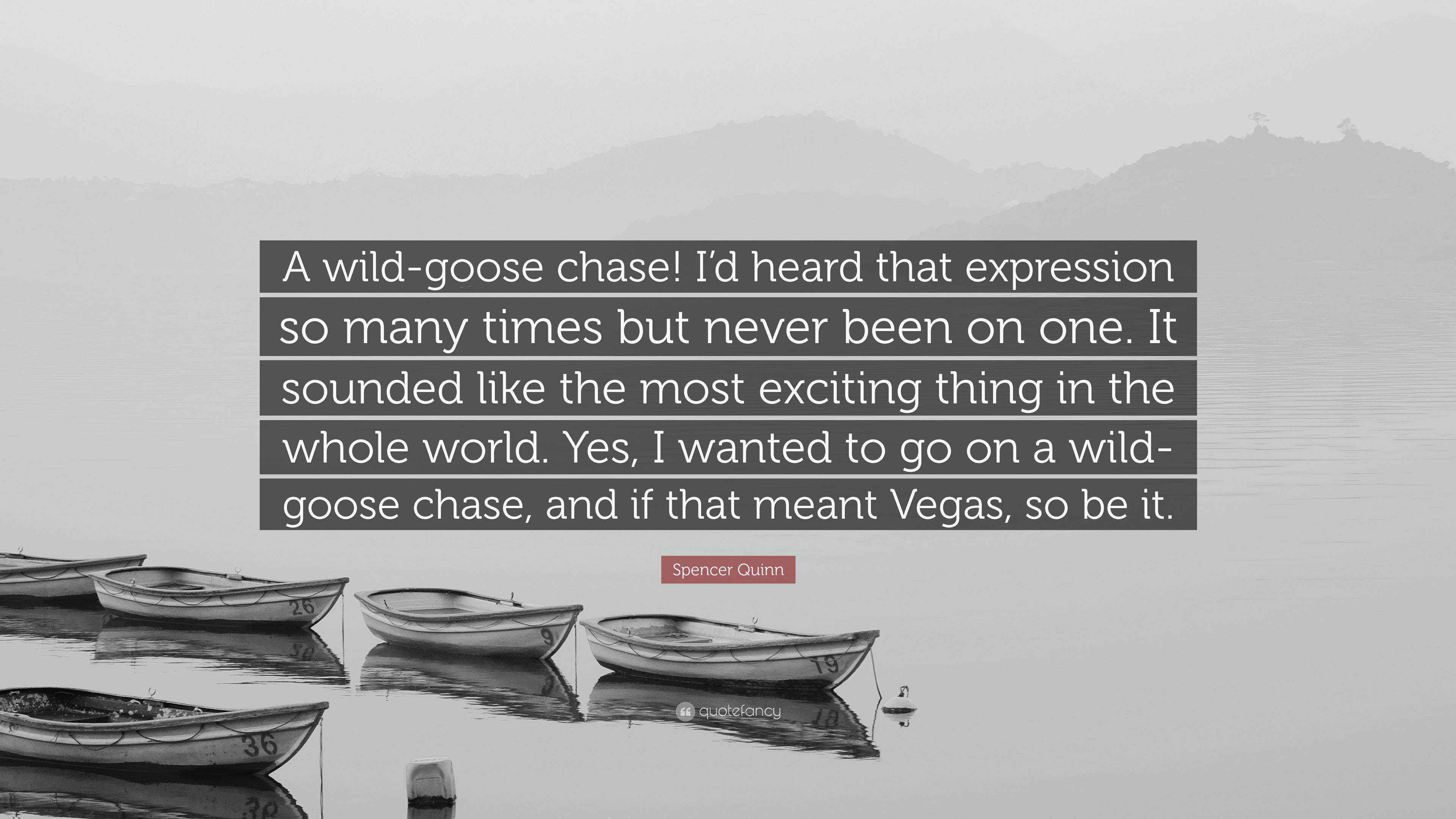 Spencer Quinn Quote: “A wild-goose chase! I’d heard that expression so ...
