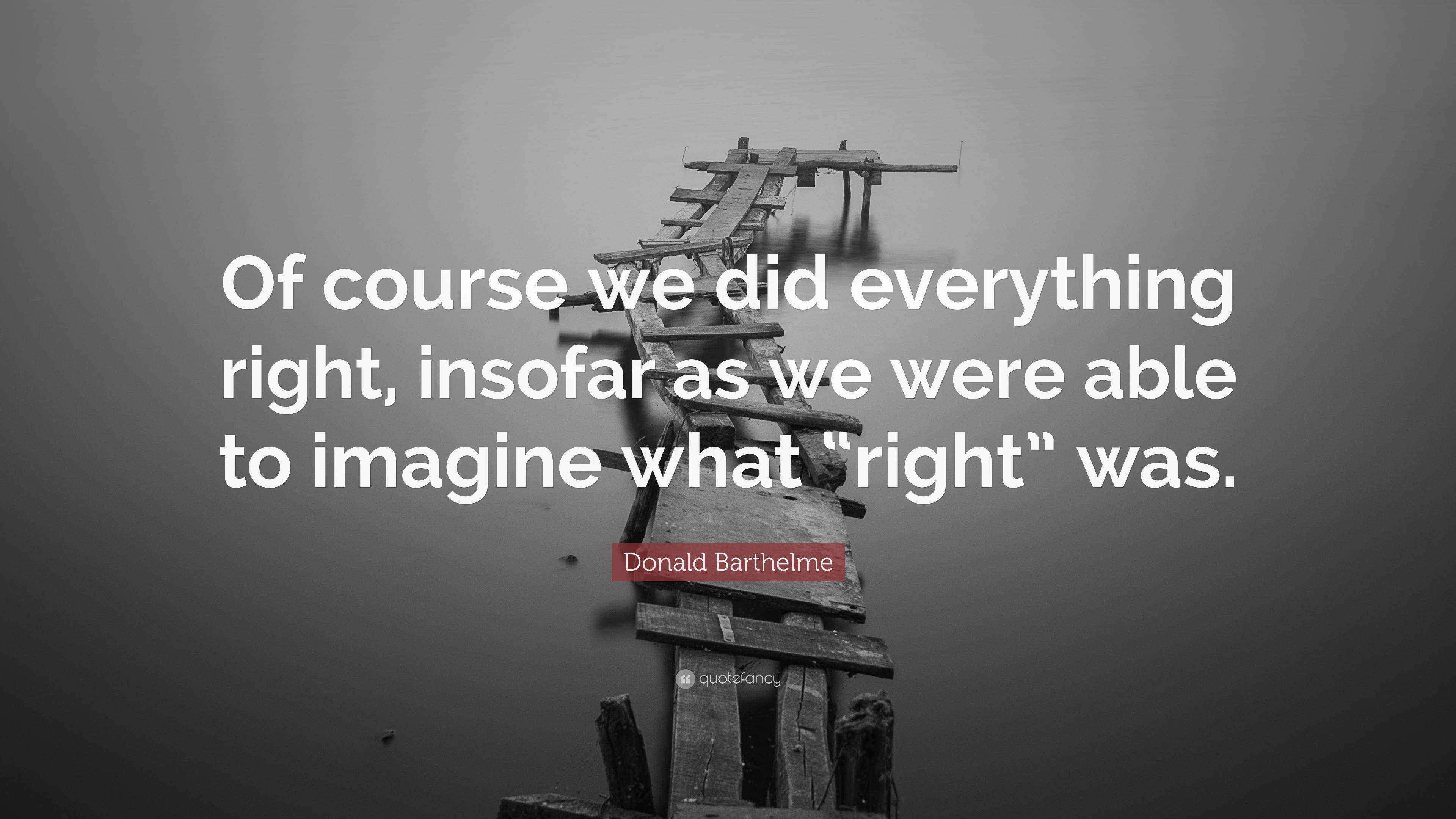 Donald Barthelme Quote: “Of course we did everything right, insofar as ...