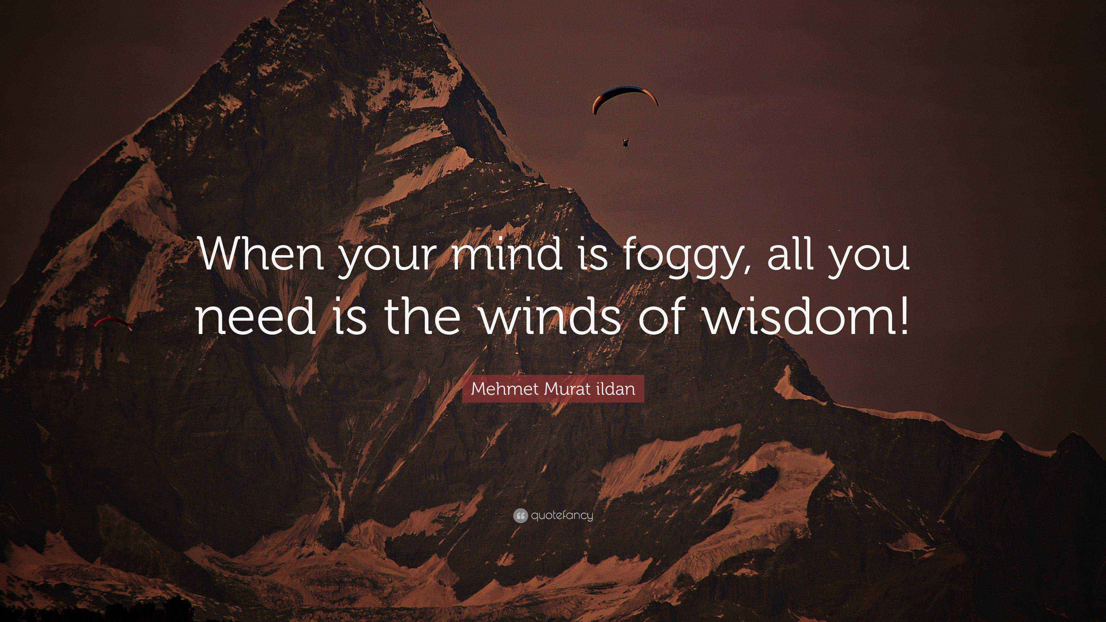 Mehmet Murat ildan Quote: “When your mind is foggy, all you need is the ...