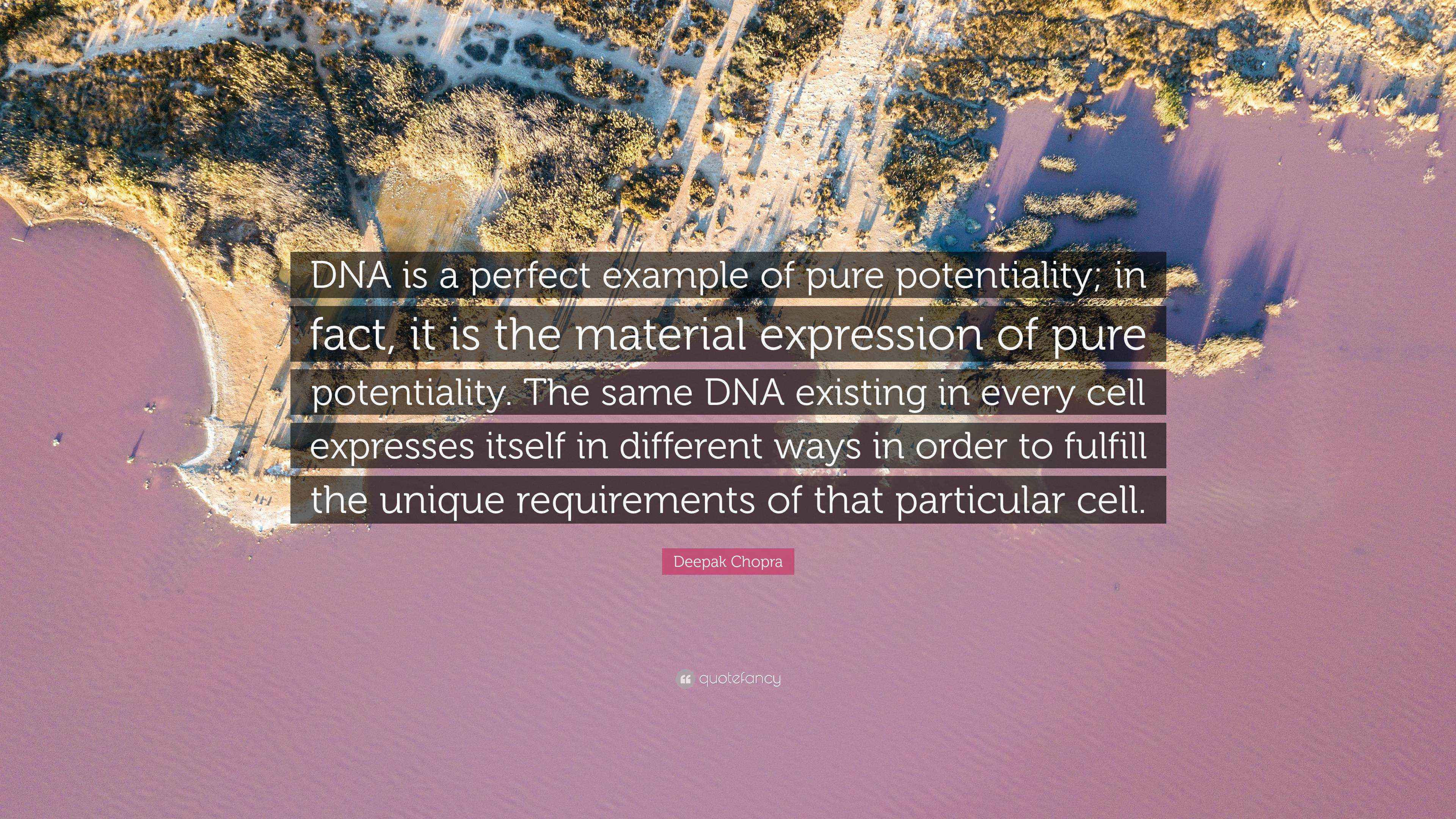 Deepak Chopra Quote: “DNA is a perfect example of pure potentiality; in ...