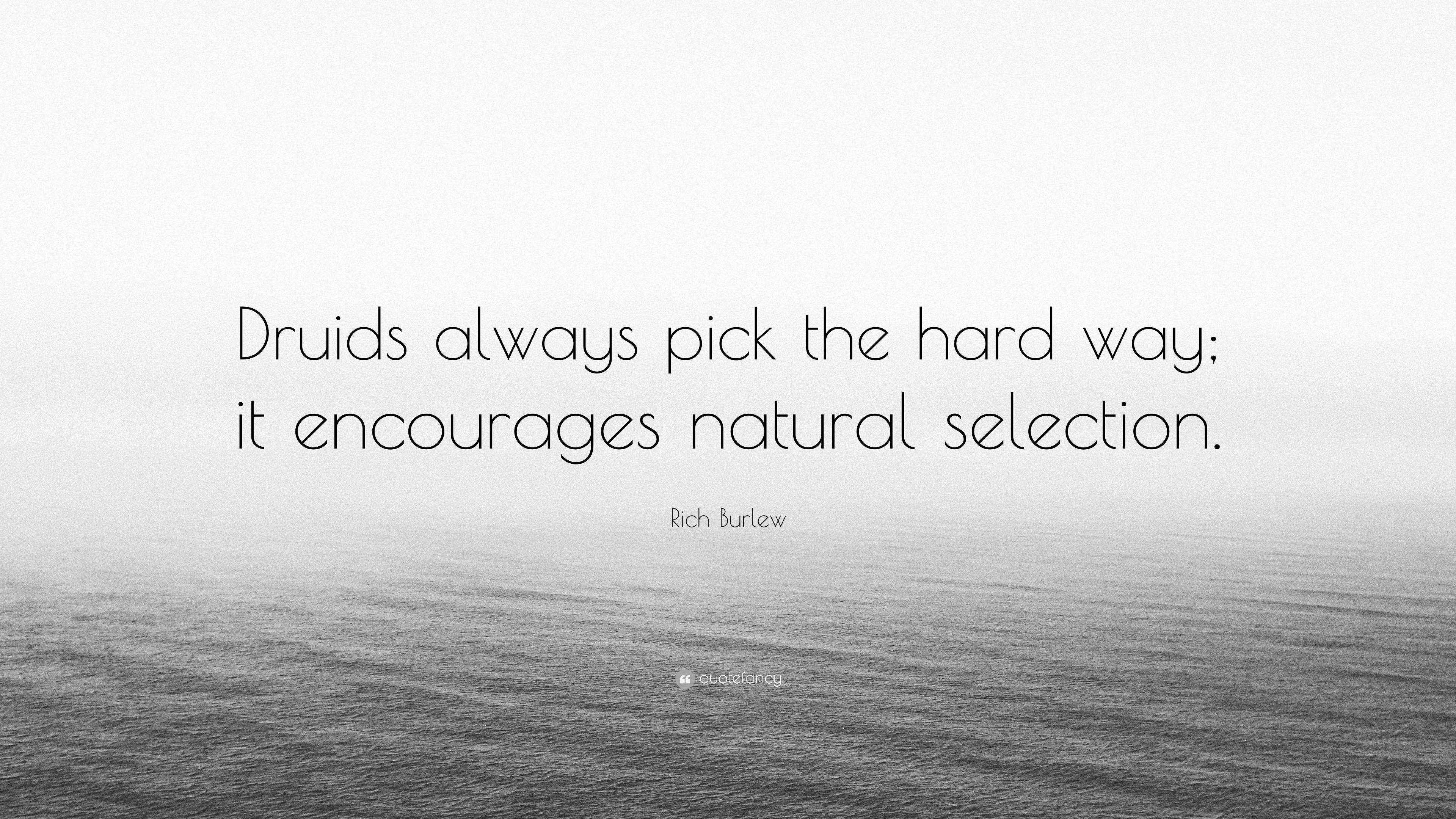 From The Selection Quotes
