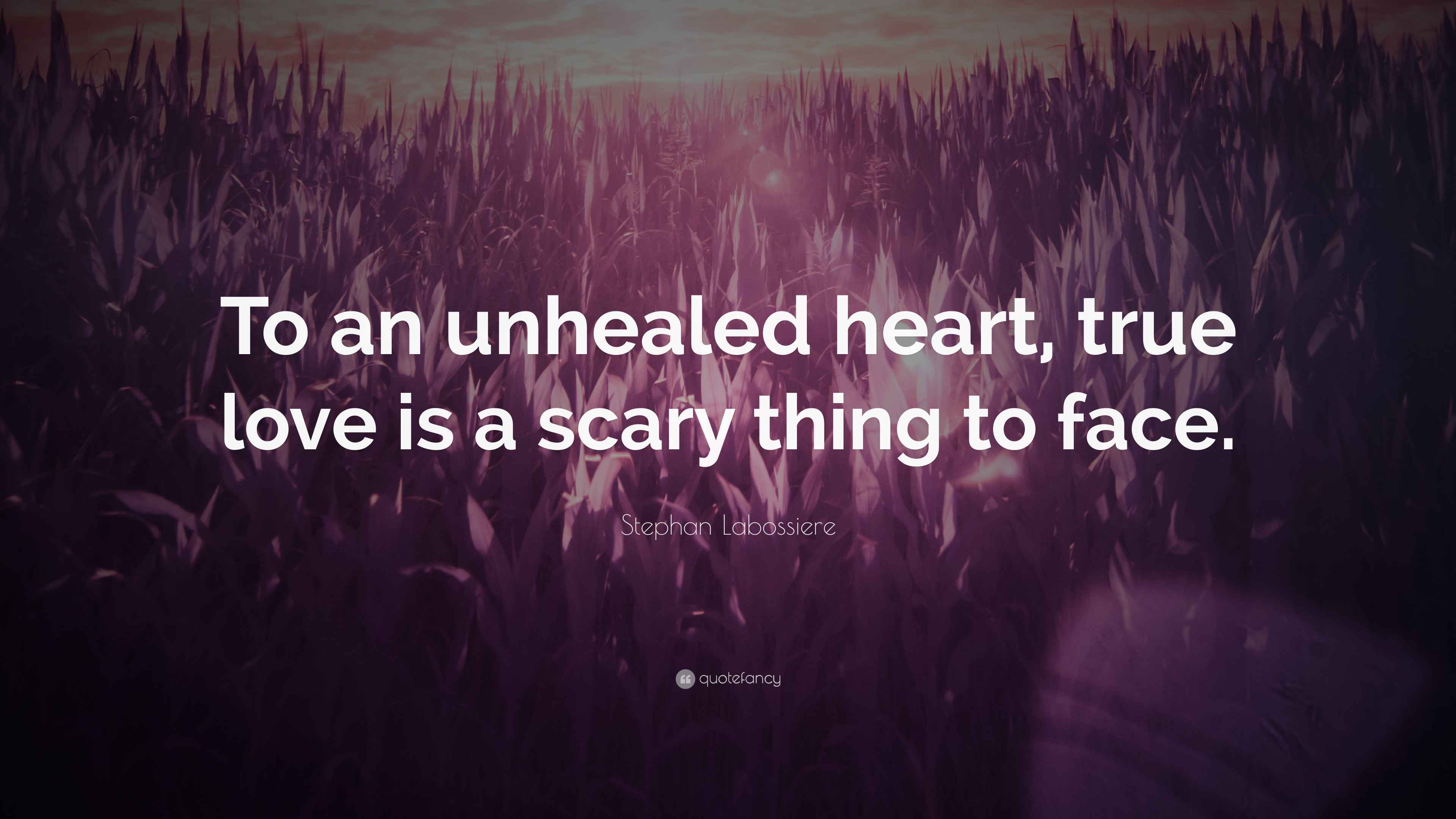 Stephan Labossiere Quote: “To an unhealed heart, true love is a scary ...