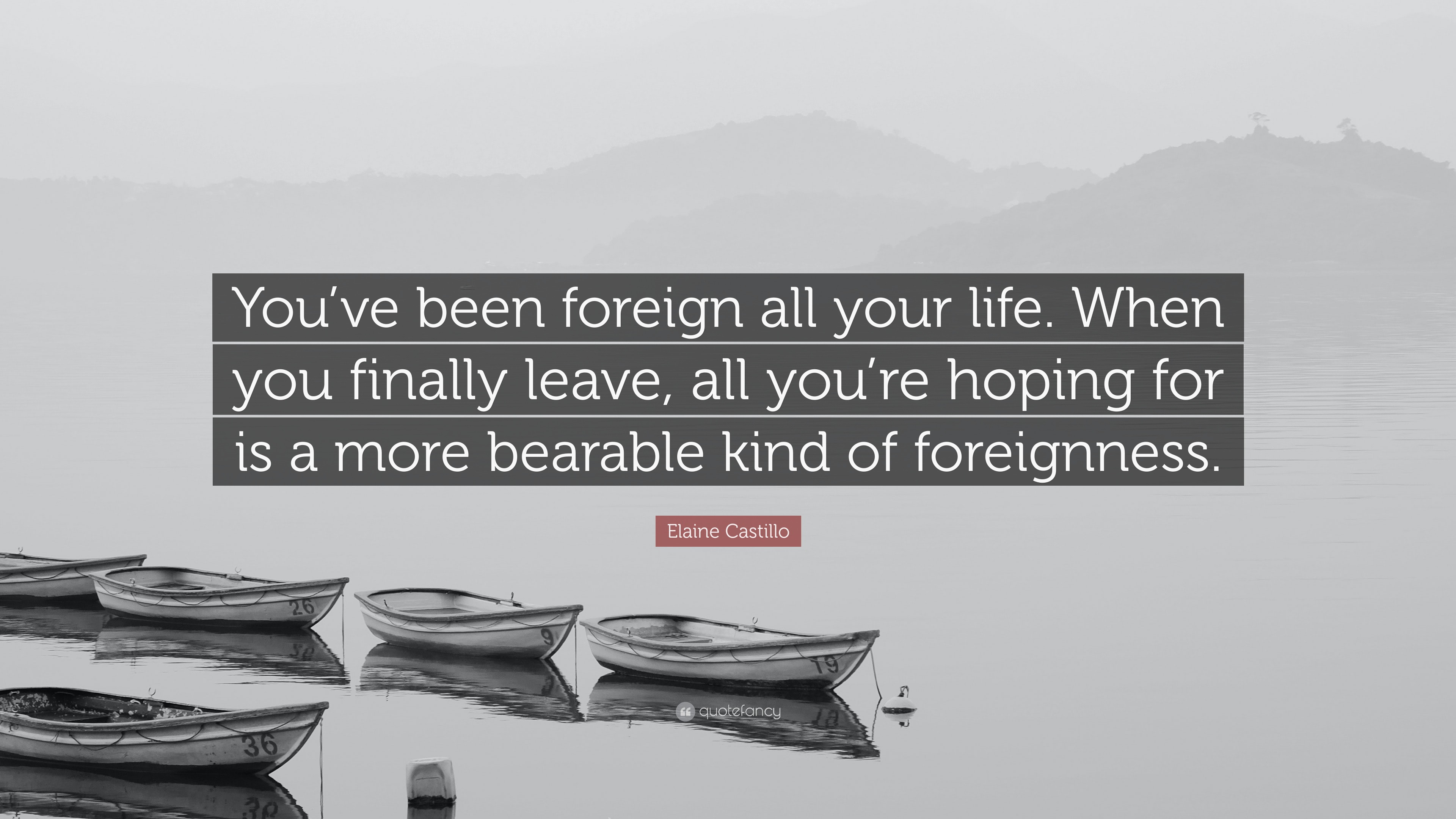 Elaine Castillo Quote: “You’ve been foreign all your life. When you ...