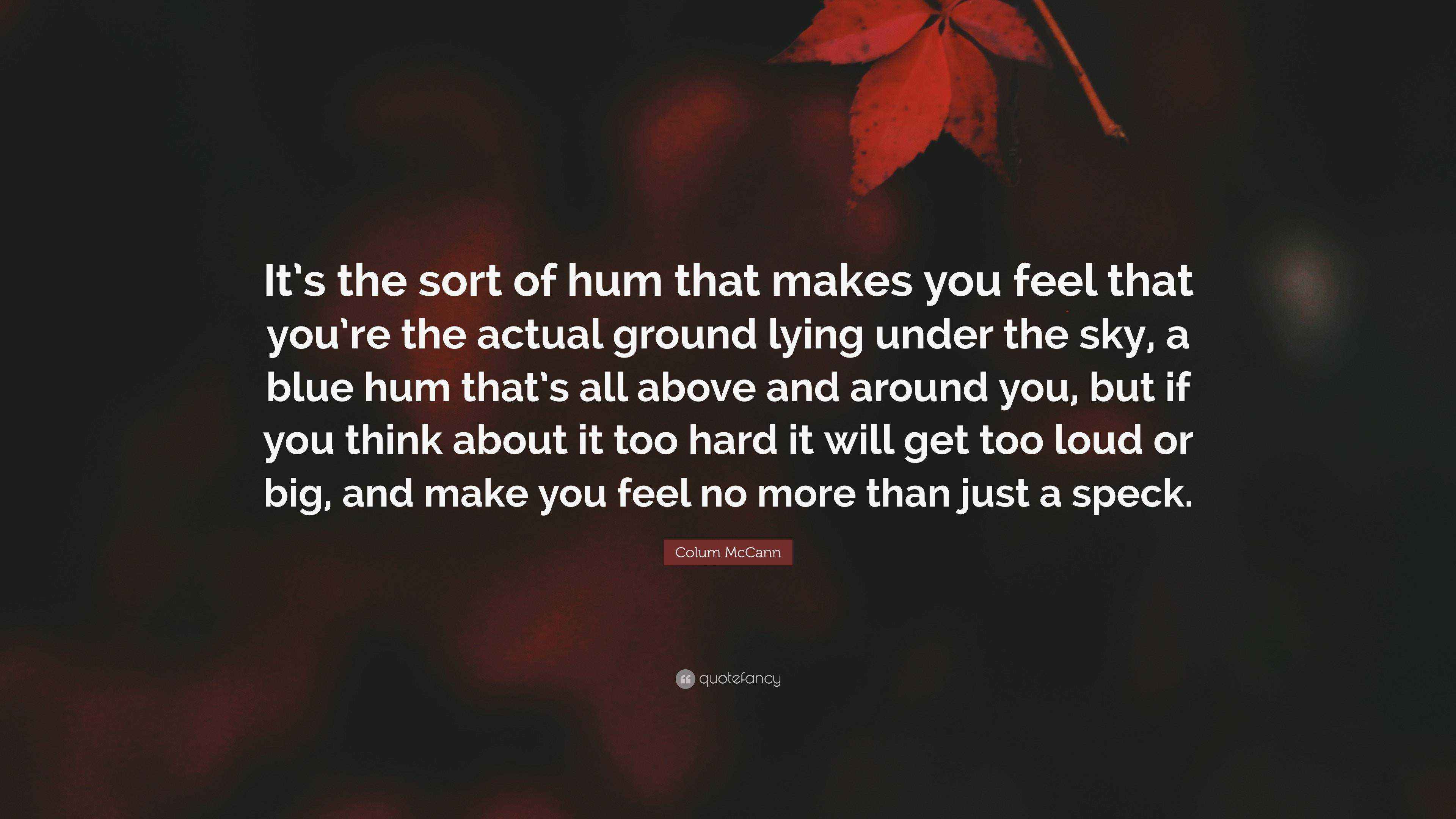 Colum McCann Quote: “It’s the sort of hum that makes you feel that you ...