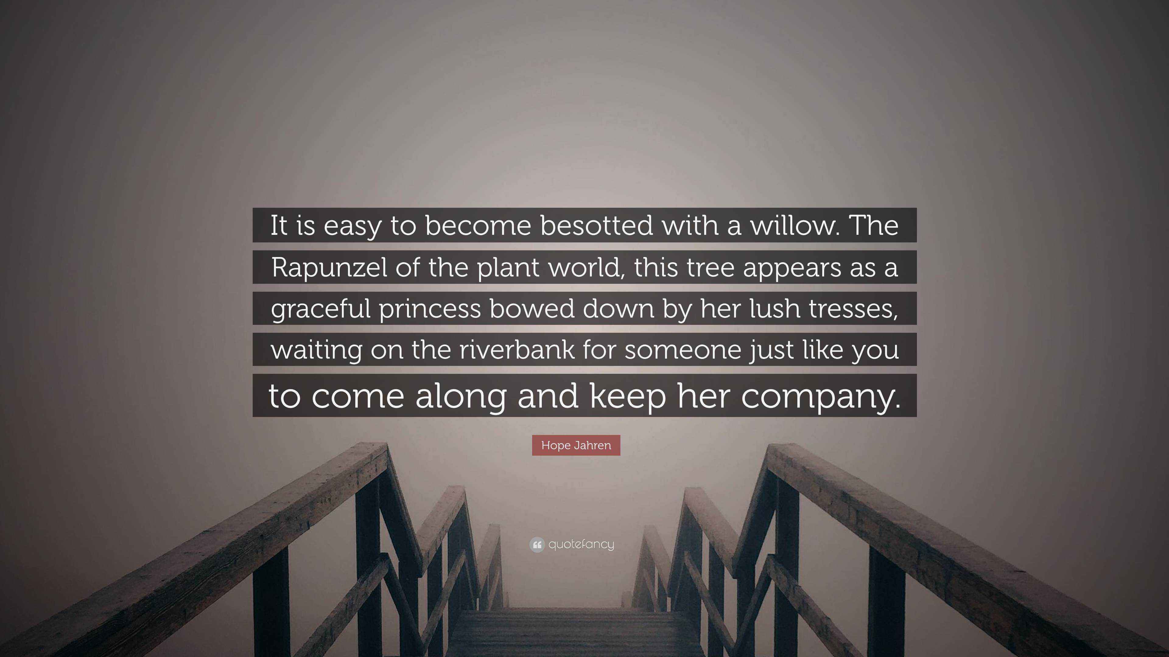 Hope Jahren Quote: “It is easy to become besotted with a willow. The ...