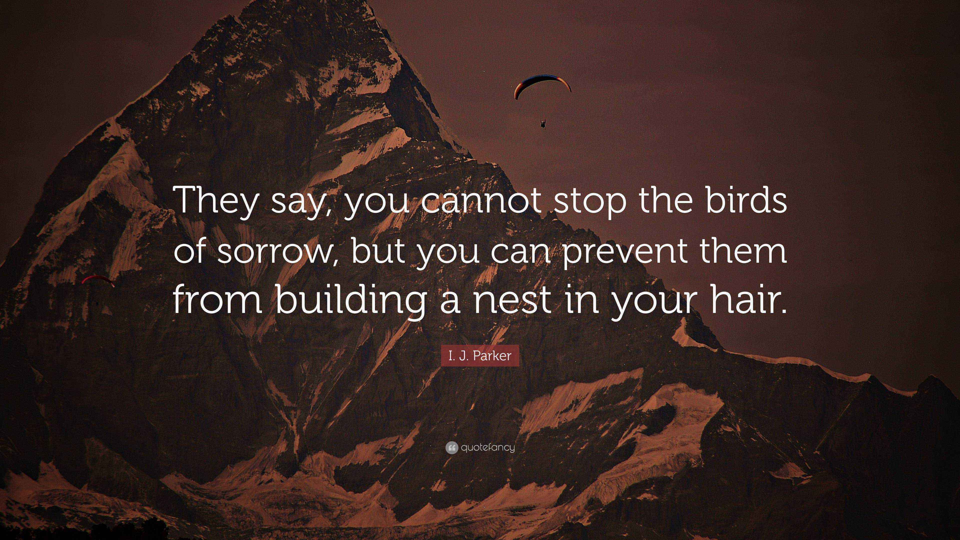 I. J. Parker Quote: “They say, you cannot stop the birds of sorrow, but ...