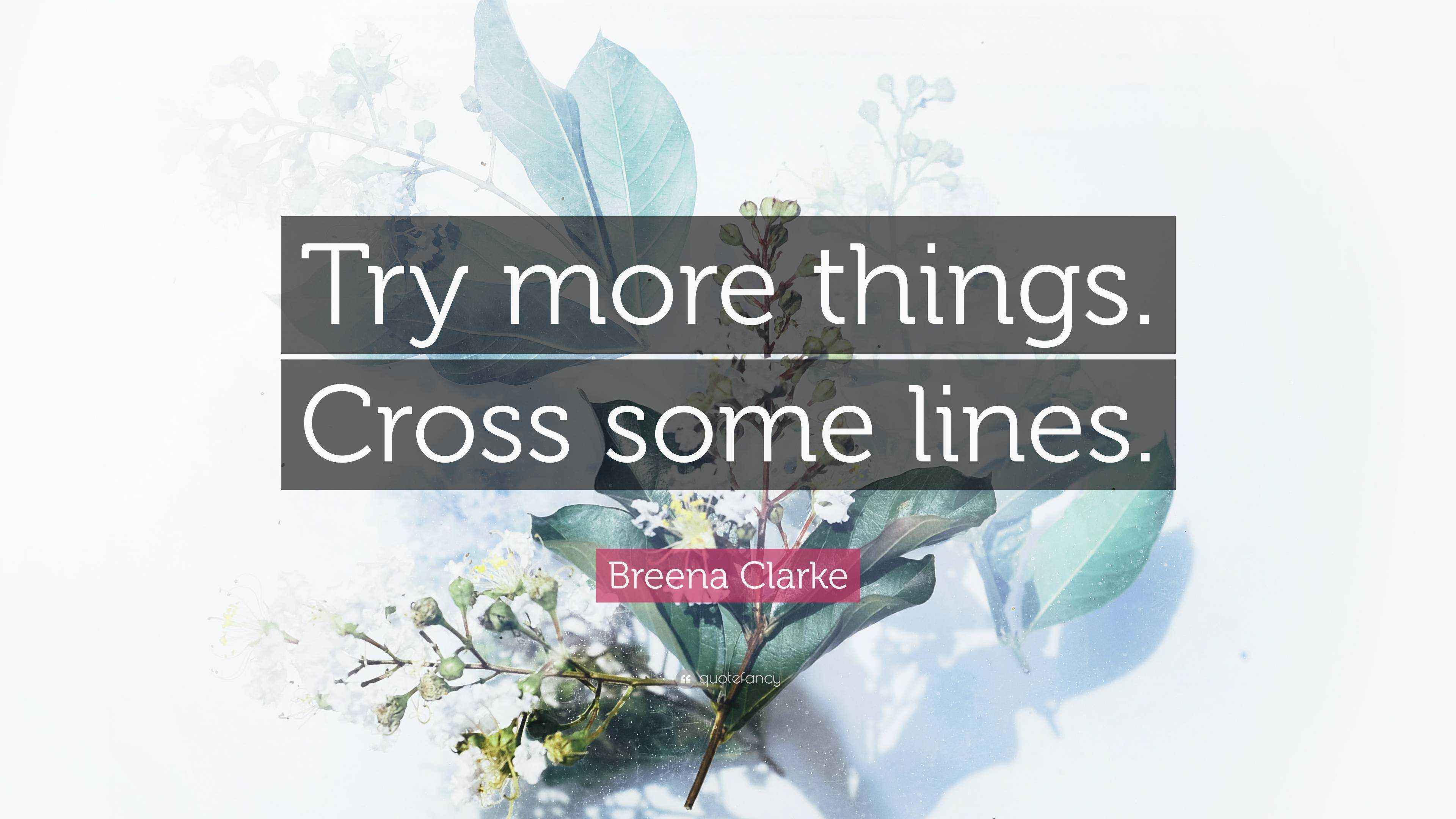 Breena Clarke Quote: “Try more things. Cross some lines.”
