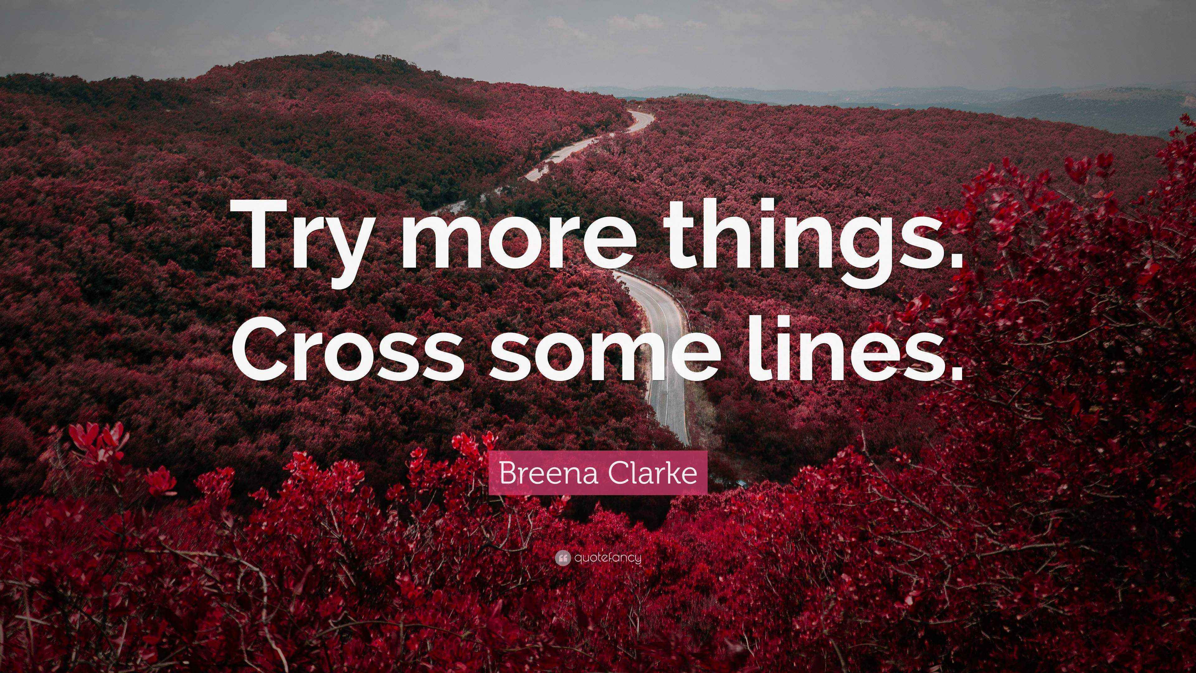 Breena Clarke Quote: “Try more things. Cross some lines.”