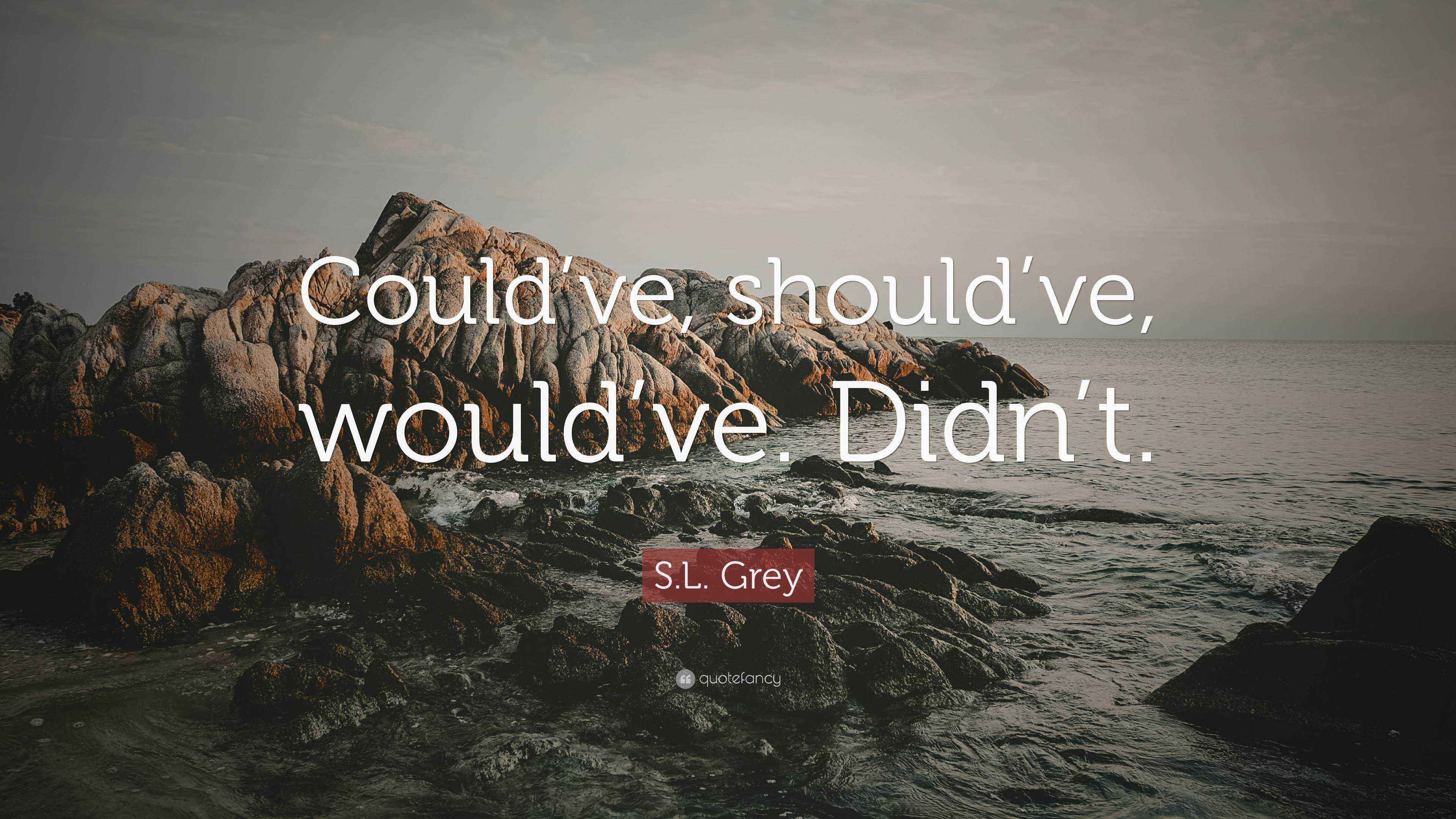 S.L. Grey Quote: “Could’ve, should’ve, would’ve. Didn’t.”