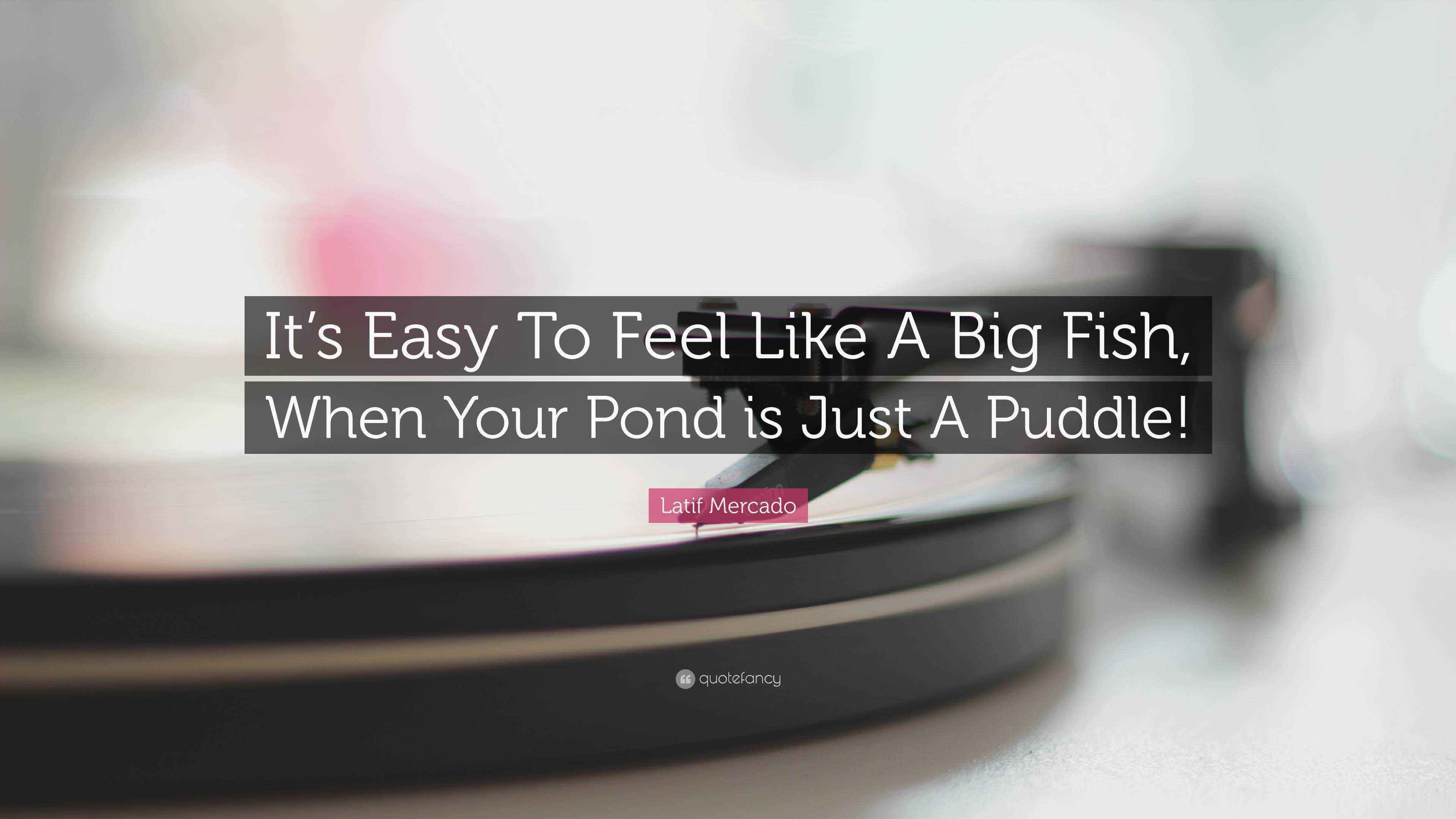 Latif Mercado Quote: “It’s Easy To Feel Like A Big Fish, When Your Pond ...