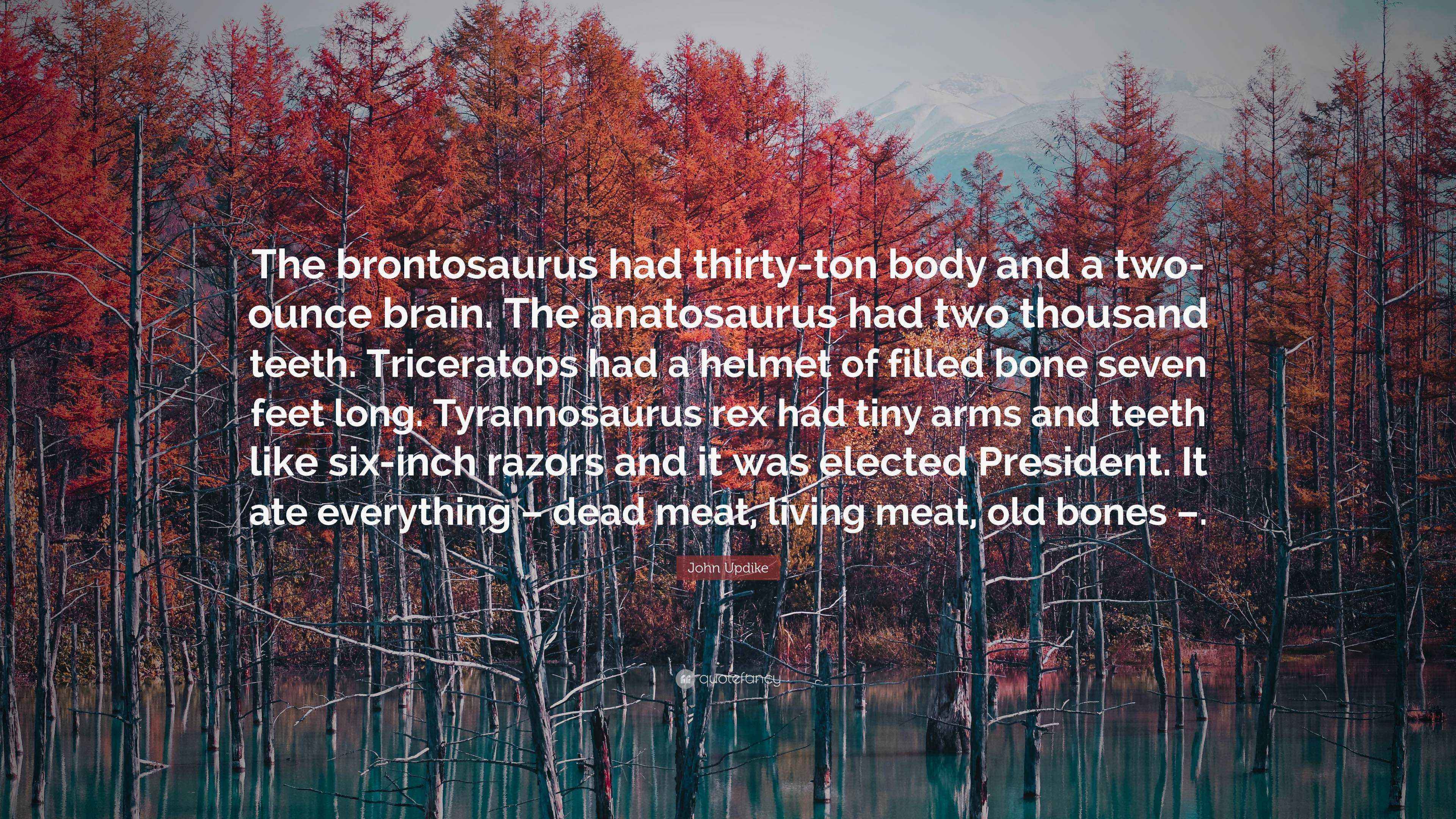 John Updike Quote: “The brontosaurus had thirty-ton body and a two ...