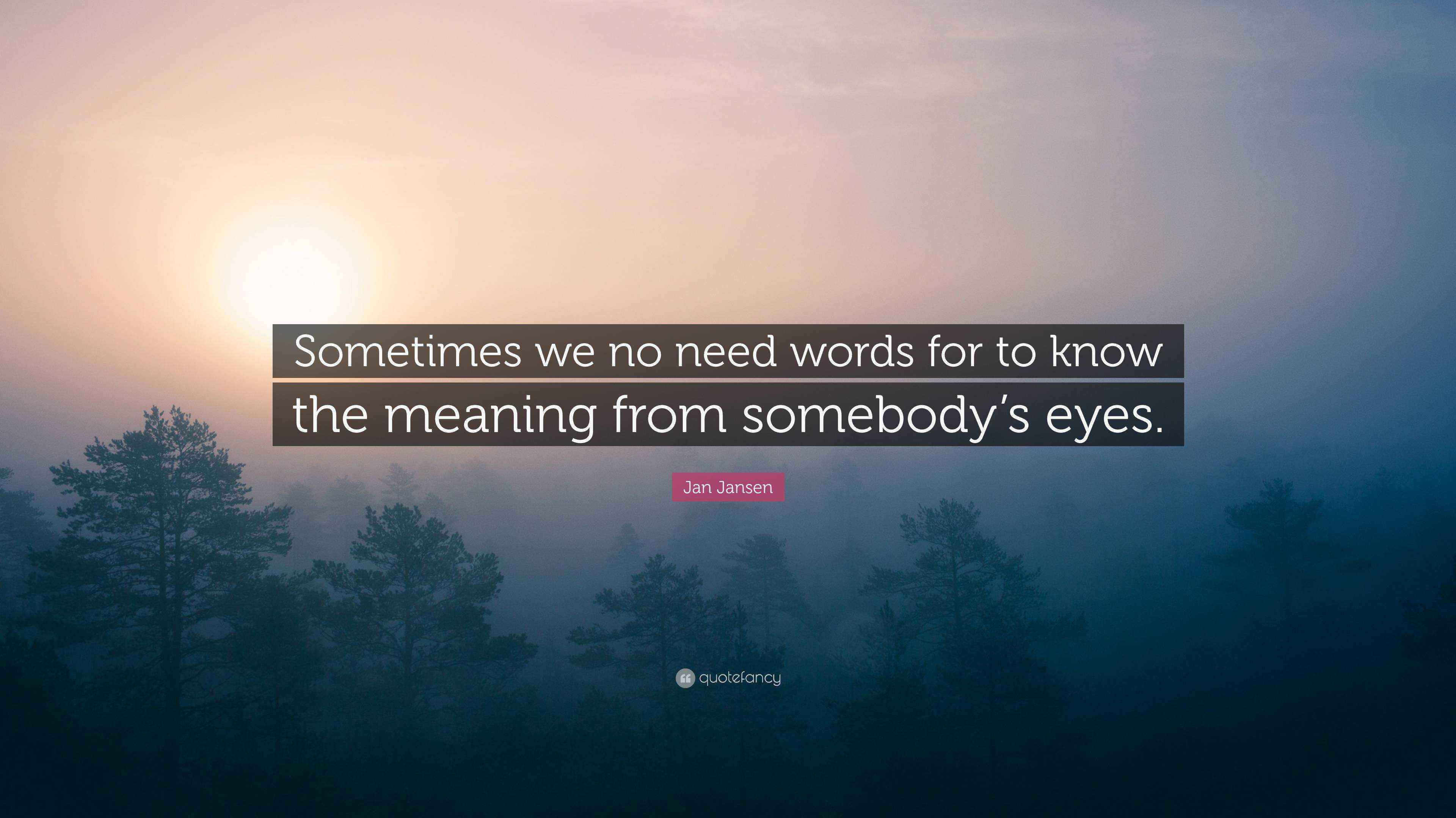 Jan Jansen Quote: “Sometimes we no need words for to know the meaning ...