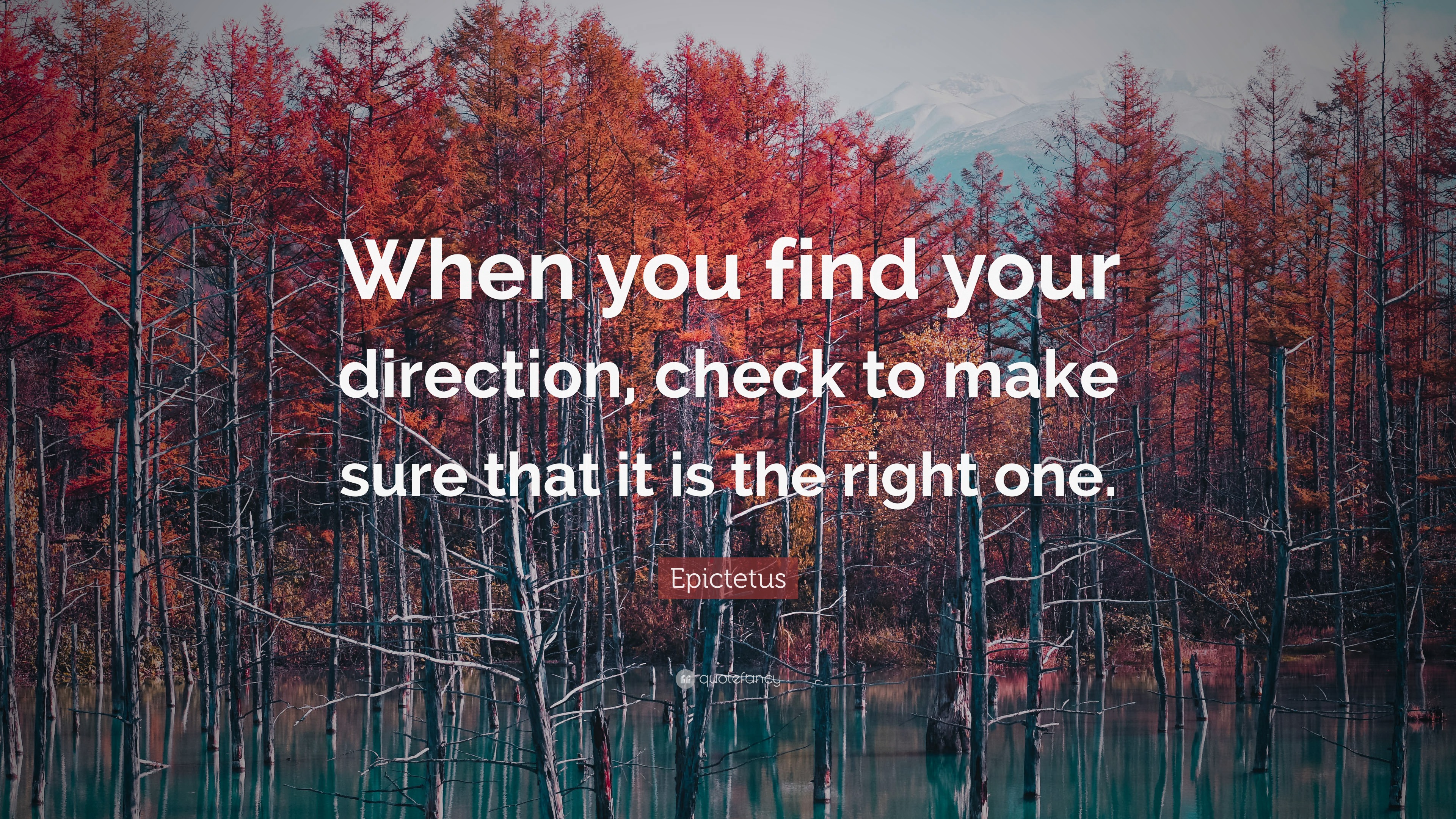 Epictetus Quote: “When you find your direction, check to make sure that ...