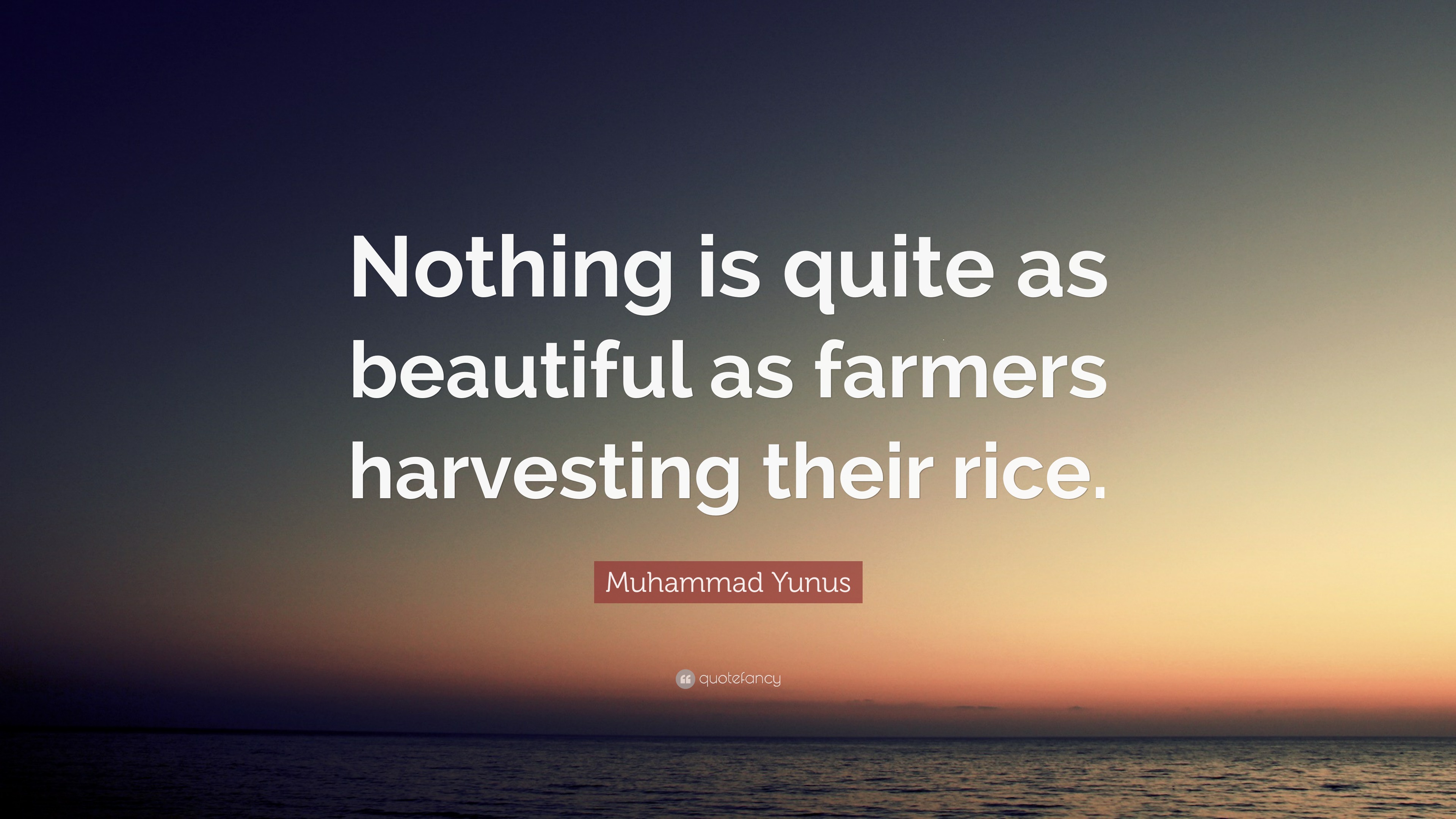 Muhammad Yunus Quote: “Nothing is quite as beautiful as farmers ...
