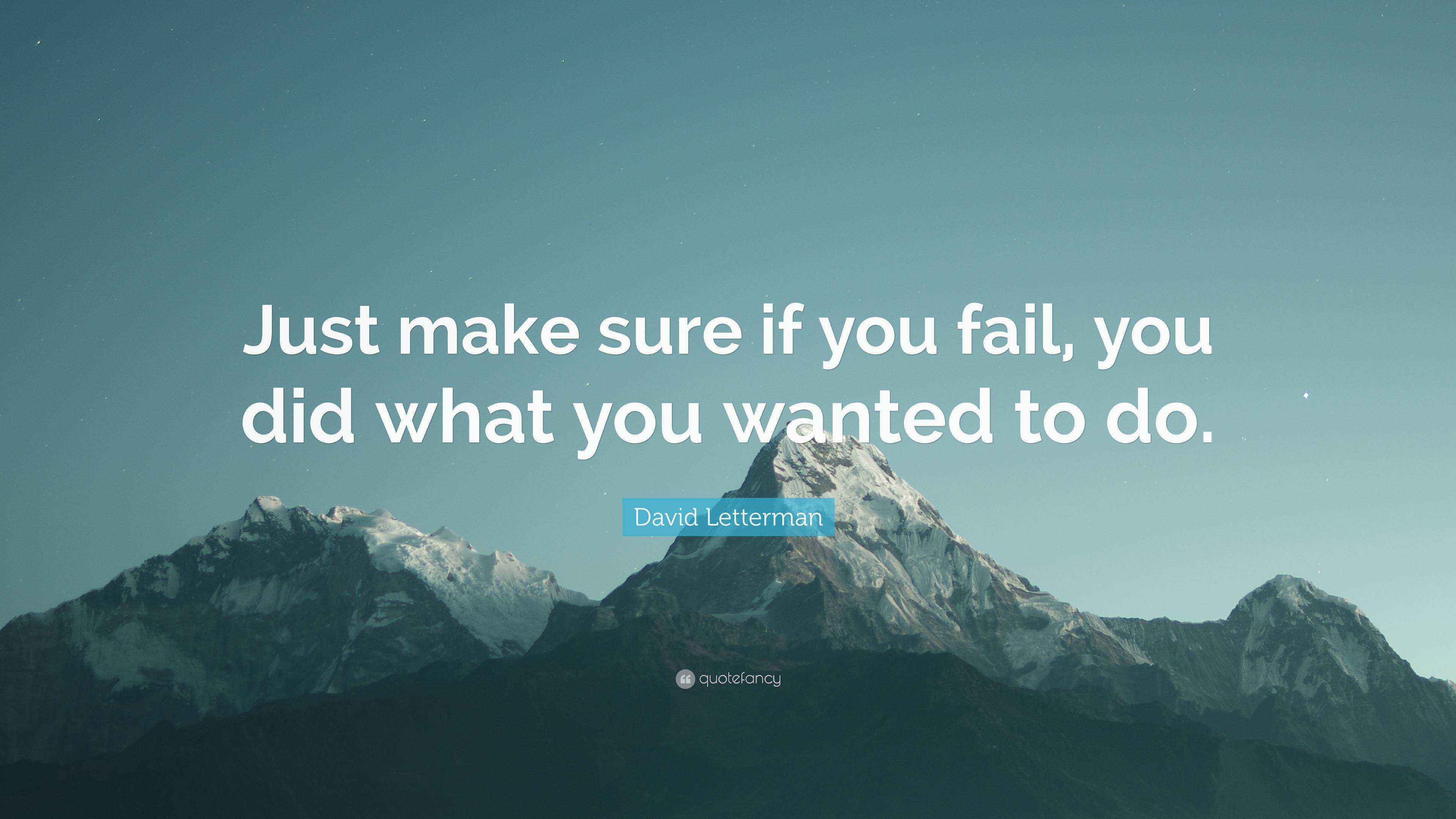 David Letterman Quote: “Just make sure if you fail, you did what you ...
