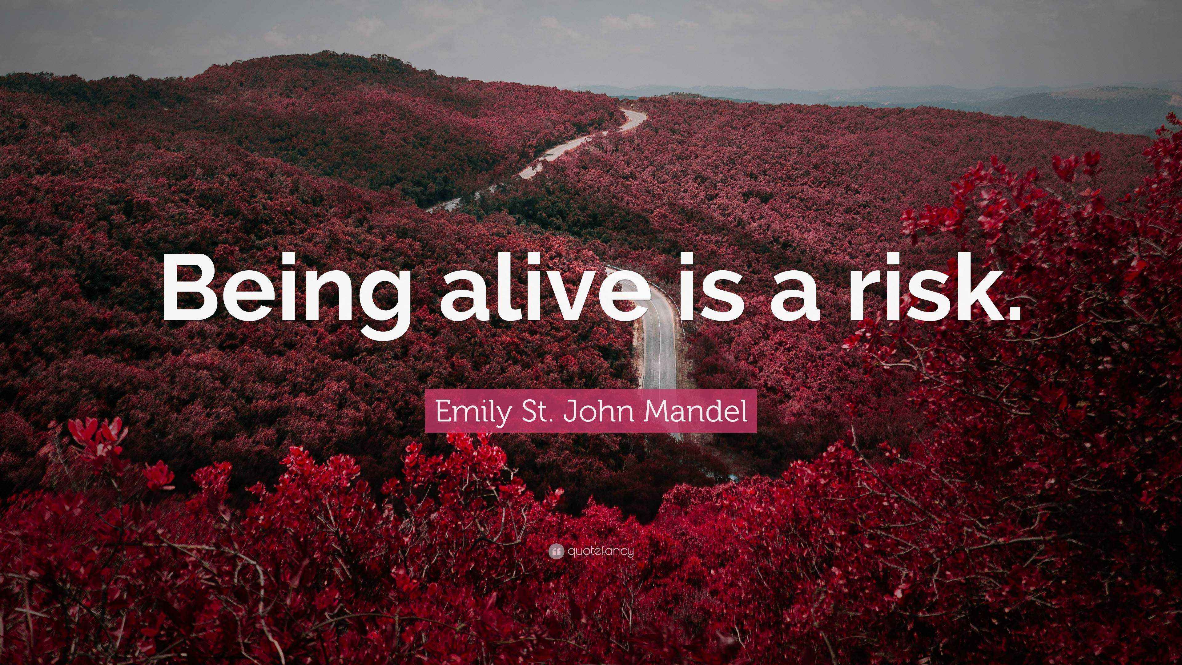 Emily St. John Mandel Quote: “Being alive is a risk.”
