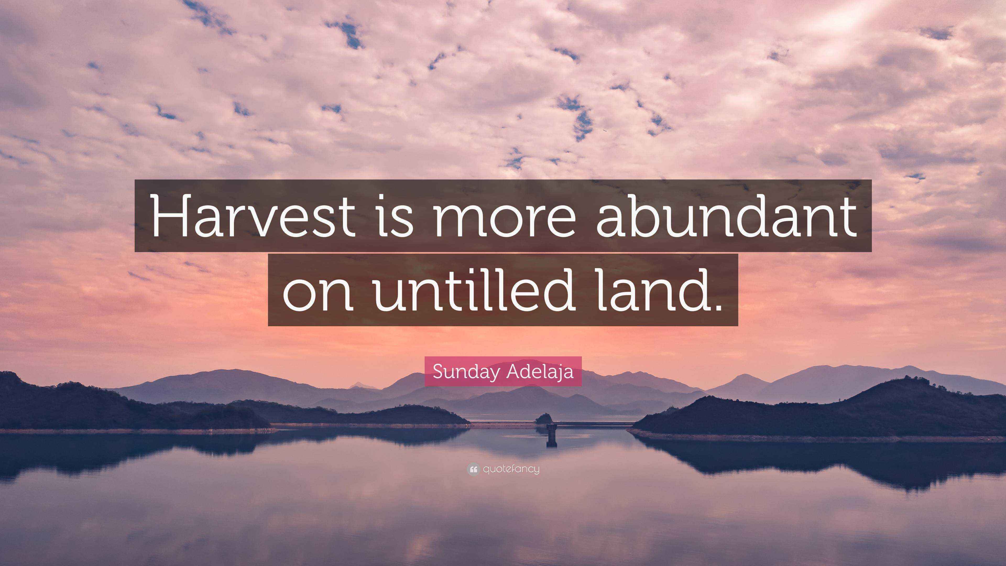 Sunday Adelaja Quote: “Harvest is more abundant on untilled land.”