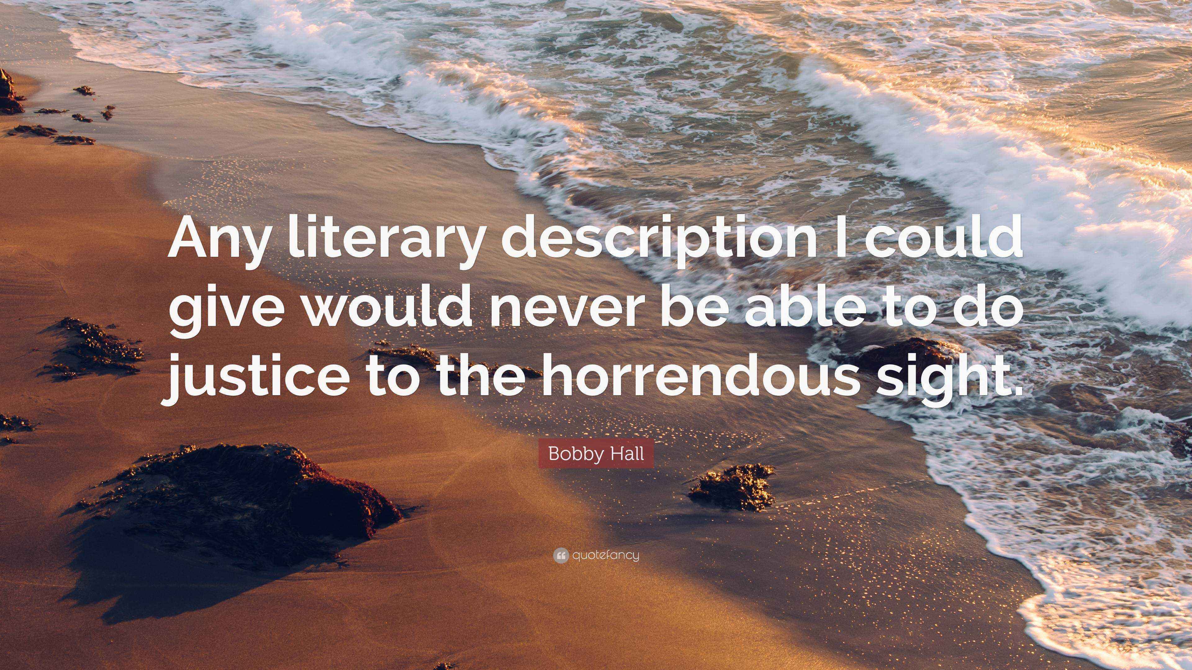 Bobby Hall Quote: “Any literary description I could give would never be ...