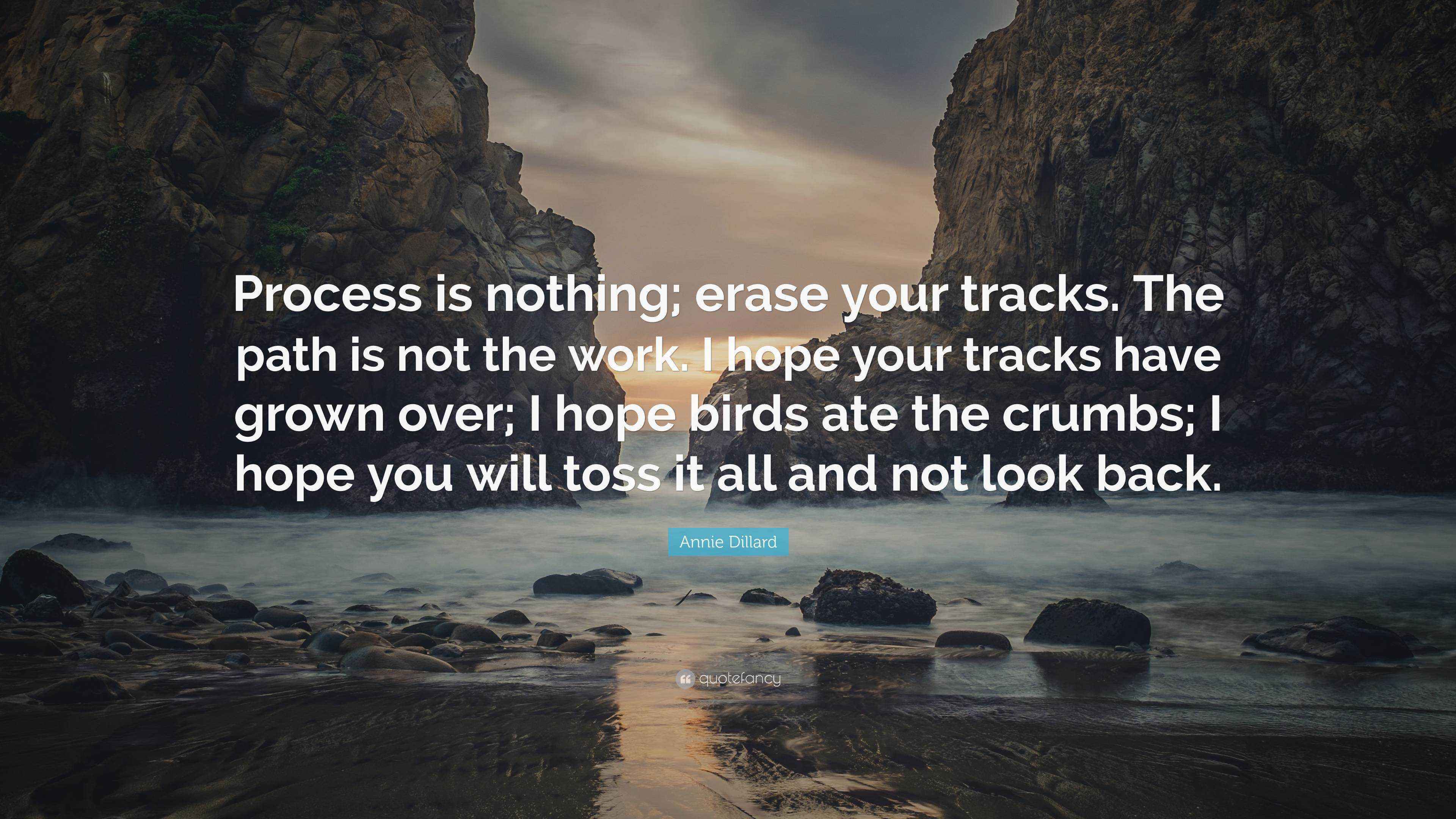Annie Dillard Quote: “Process is nothing; erase your tracks. The path ...