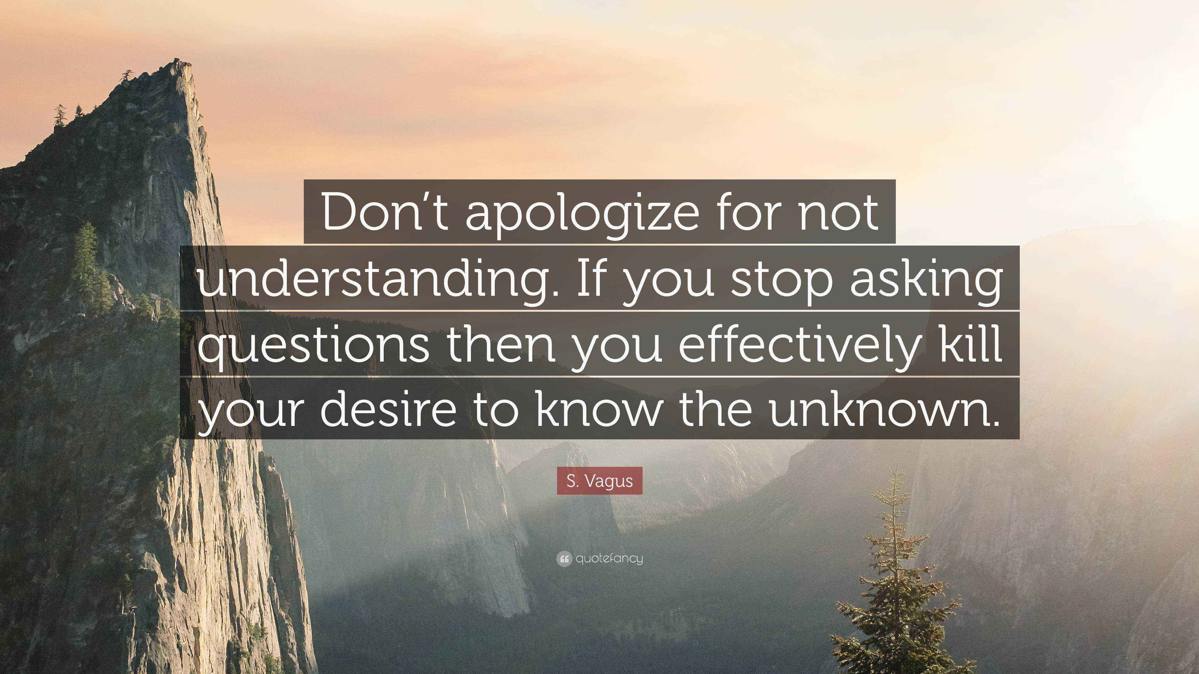 S. Vagus Quote: “Don’t apologize for not understanding. If you stop ...