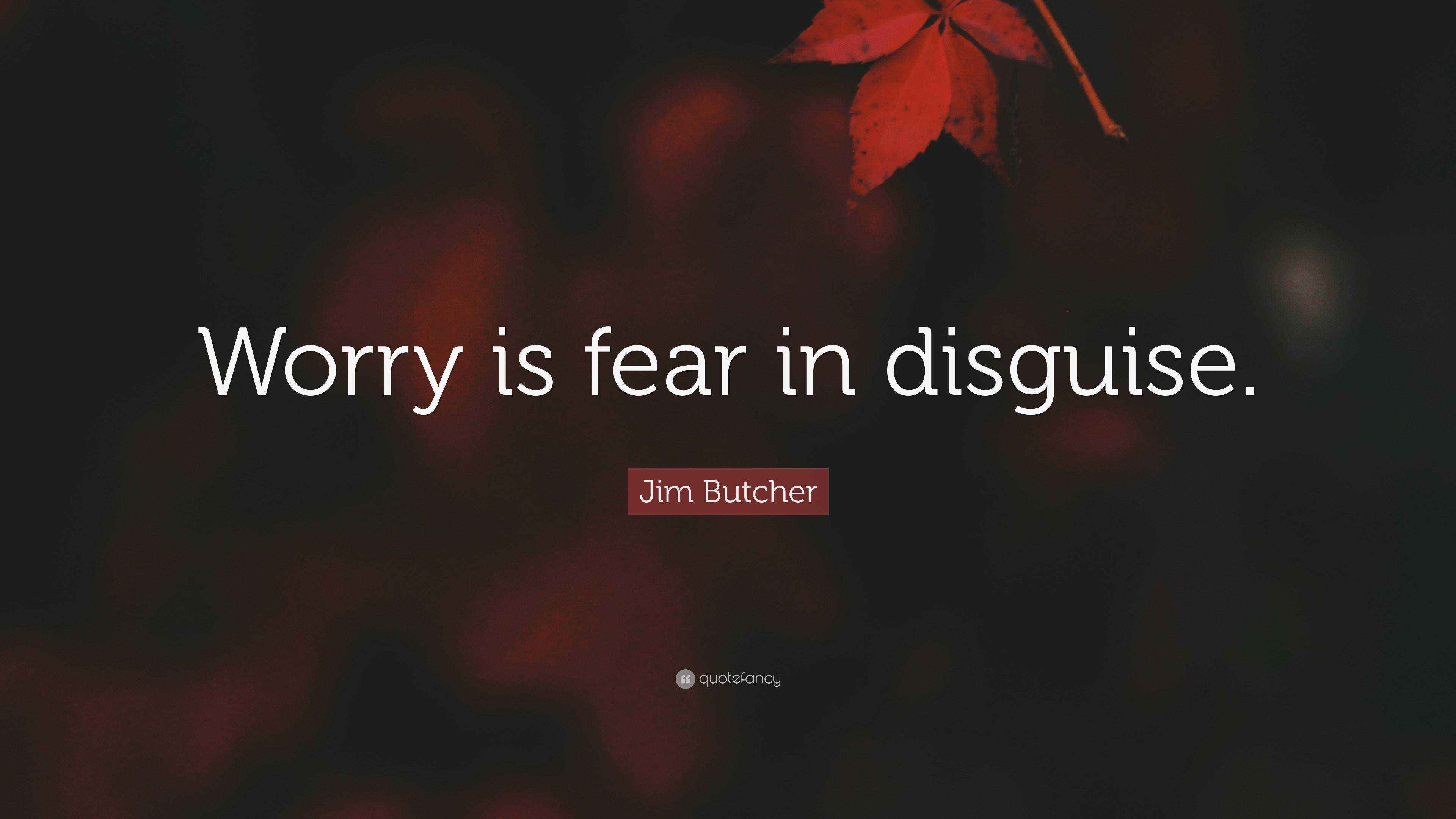 Jim Butcher Quote: “Worry is fear in disguise.”