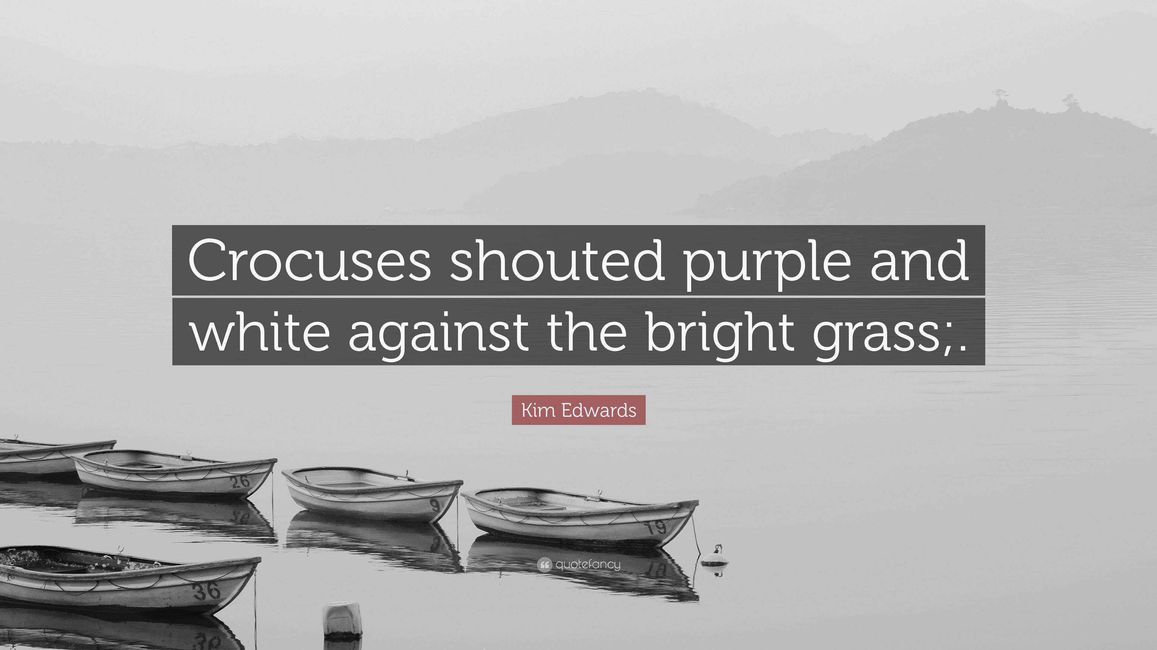 Kim Edwards Quote: “Crocuses shouted purple and white against the ...