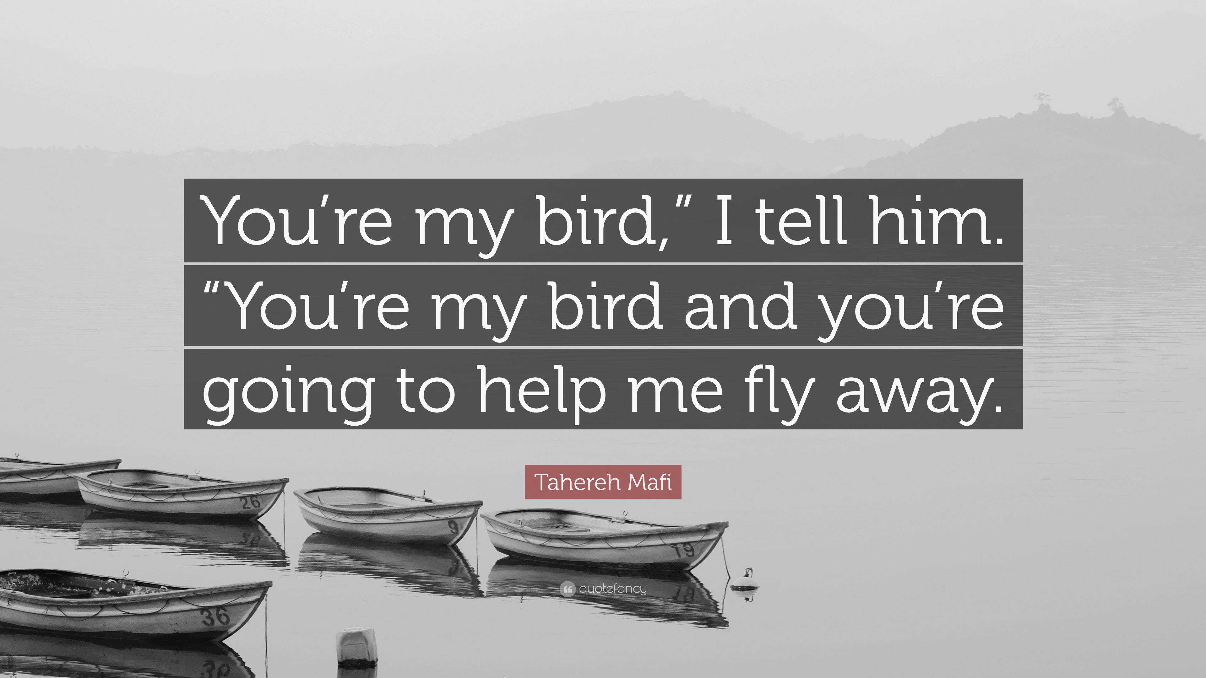 Tahereh Mafi Quote: “You’re my bird,” I tell him. “You’re my bird and ...