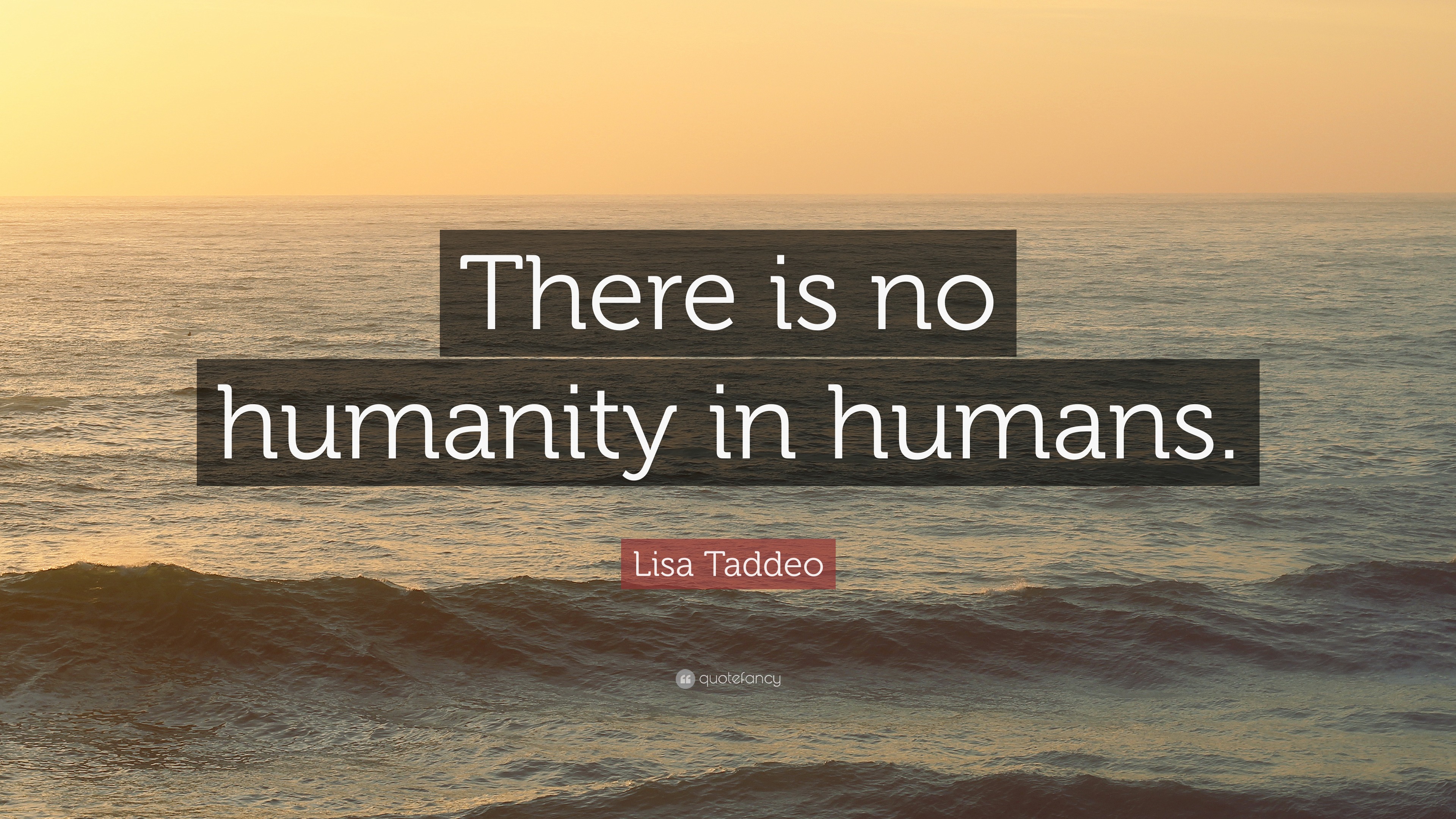 Lisa Taddeo Quote: “There is no humanity in humans.”