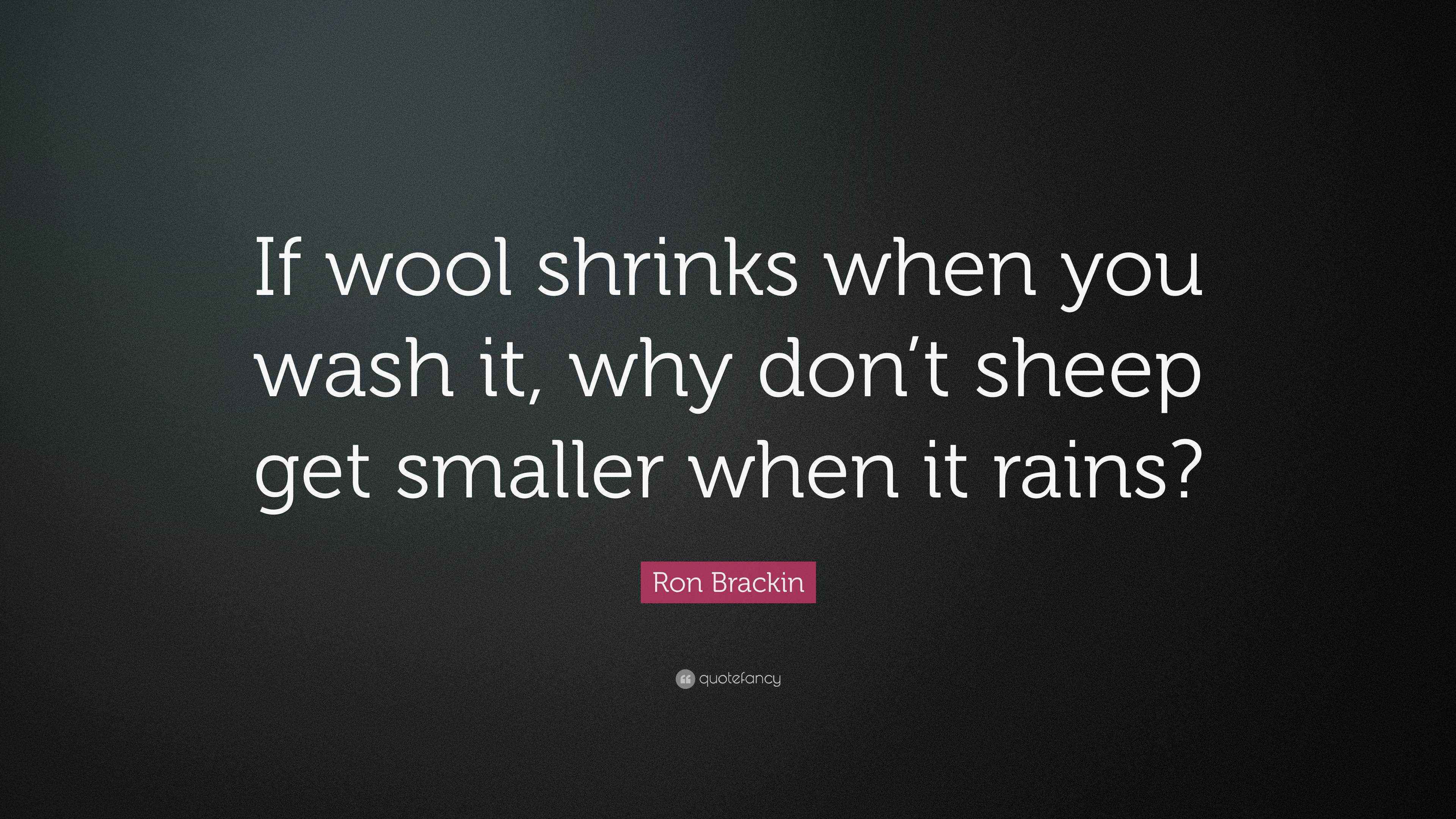 Ron Brackin Quote: “If wool shrinks when you wash it, why don’t sheep ...